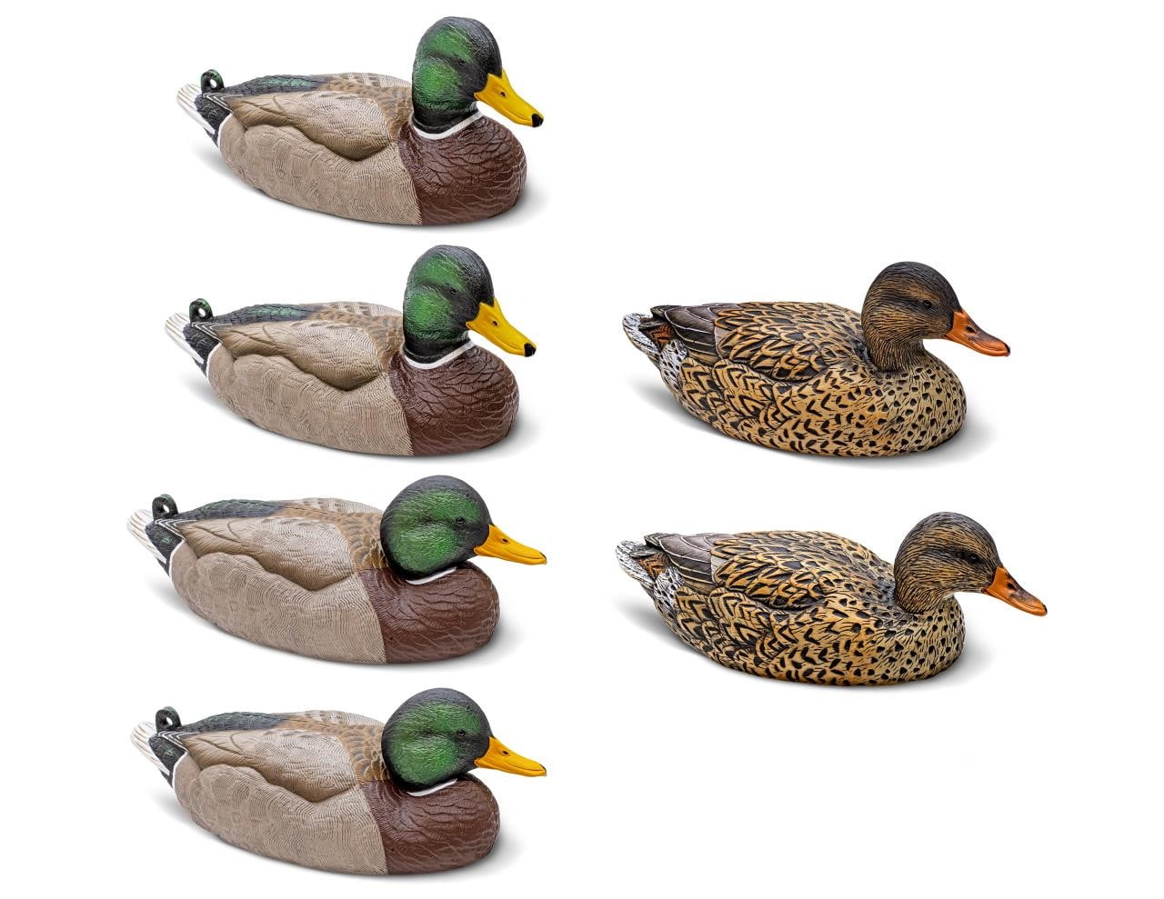 Rig Em Right Mainline Series Mallard Duck Decoys, 6 Pack - Walmart.com
