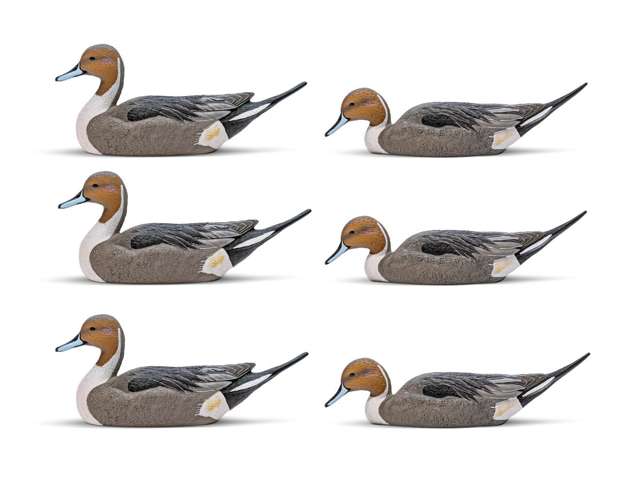 Rig Em Right Mainline Series Pintail Duck Decoys, 6 Pack - Walmart.com