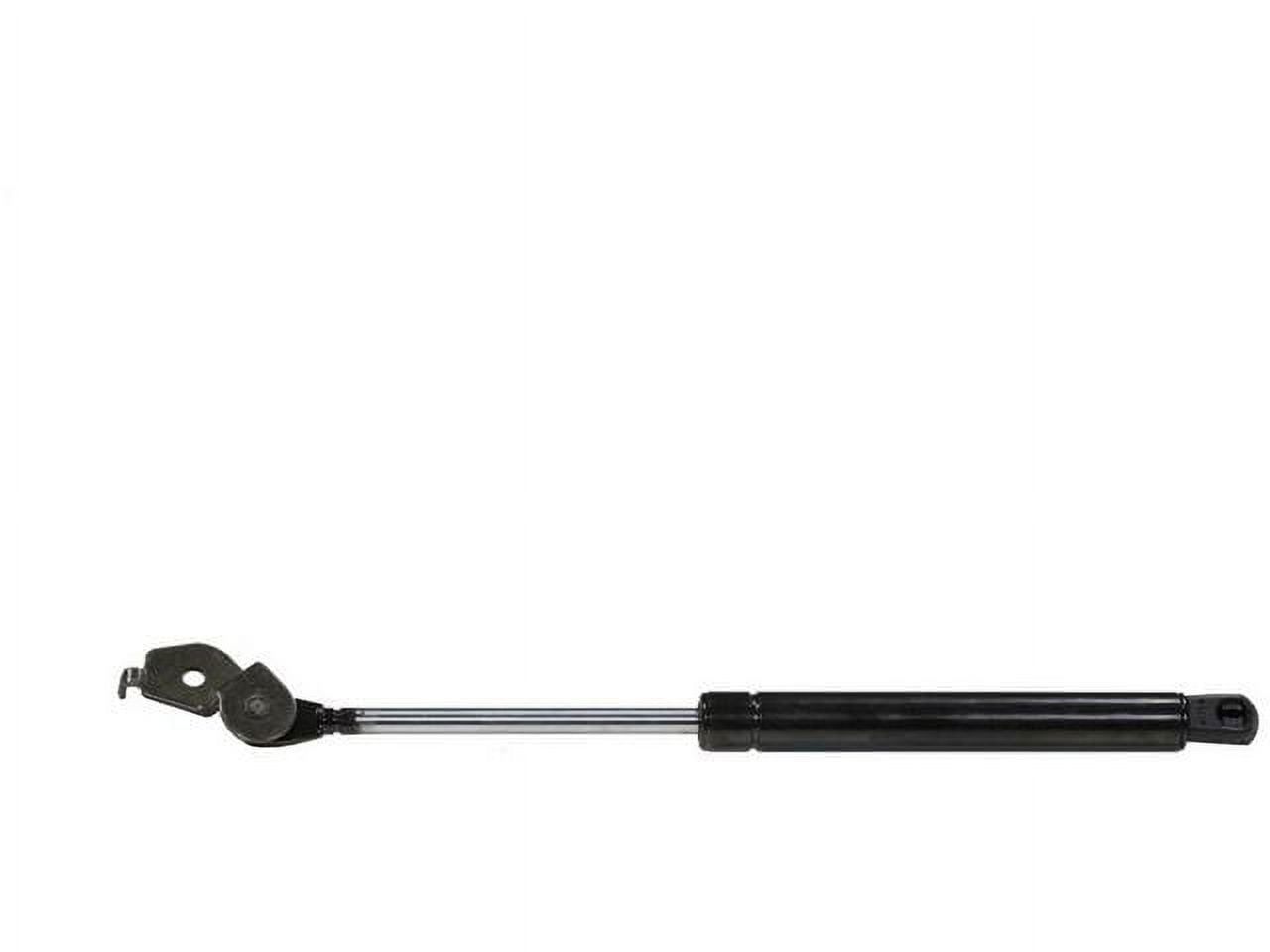 Right Hood Strut - Compatible with 1991 - 1996 Toyota Camry 1992 1993 ...