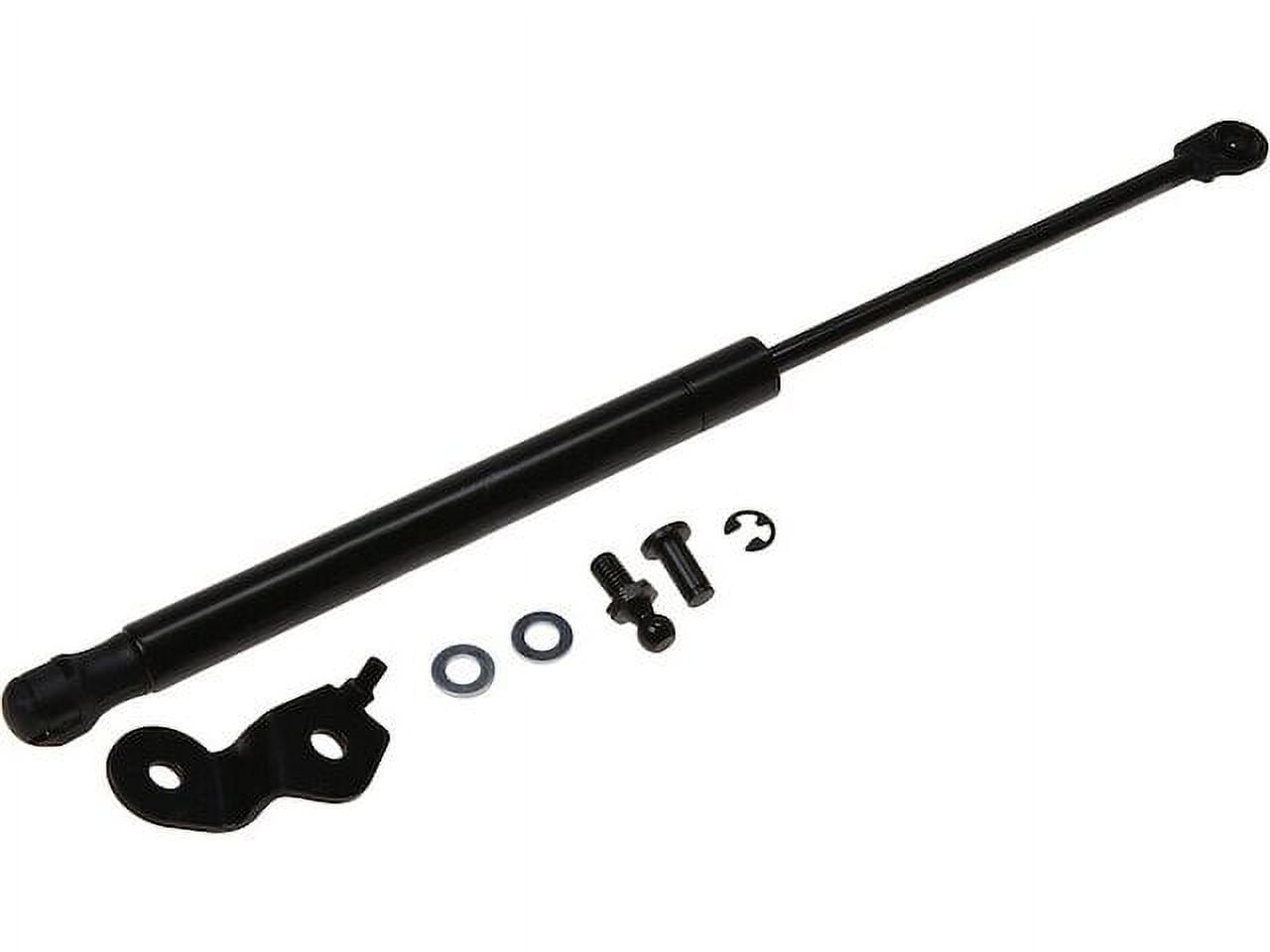 Right Hood Strut - Compatible with 1991 - 1996 Toyota Camry 1992 1993 ...