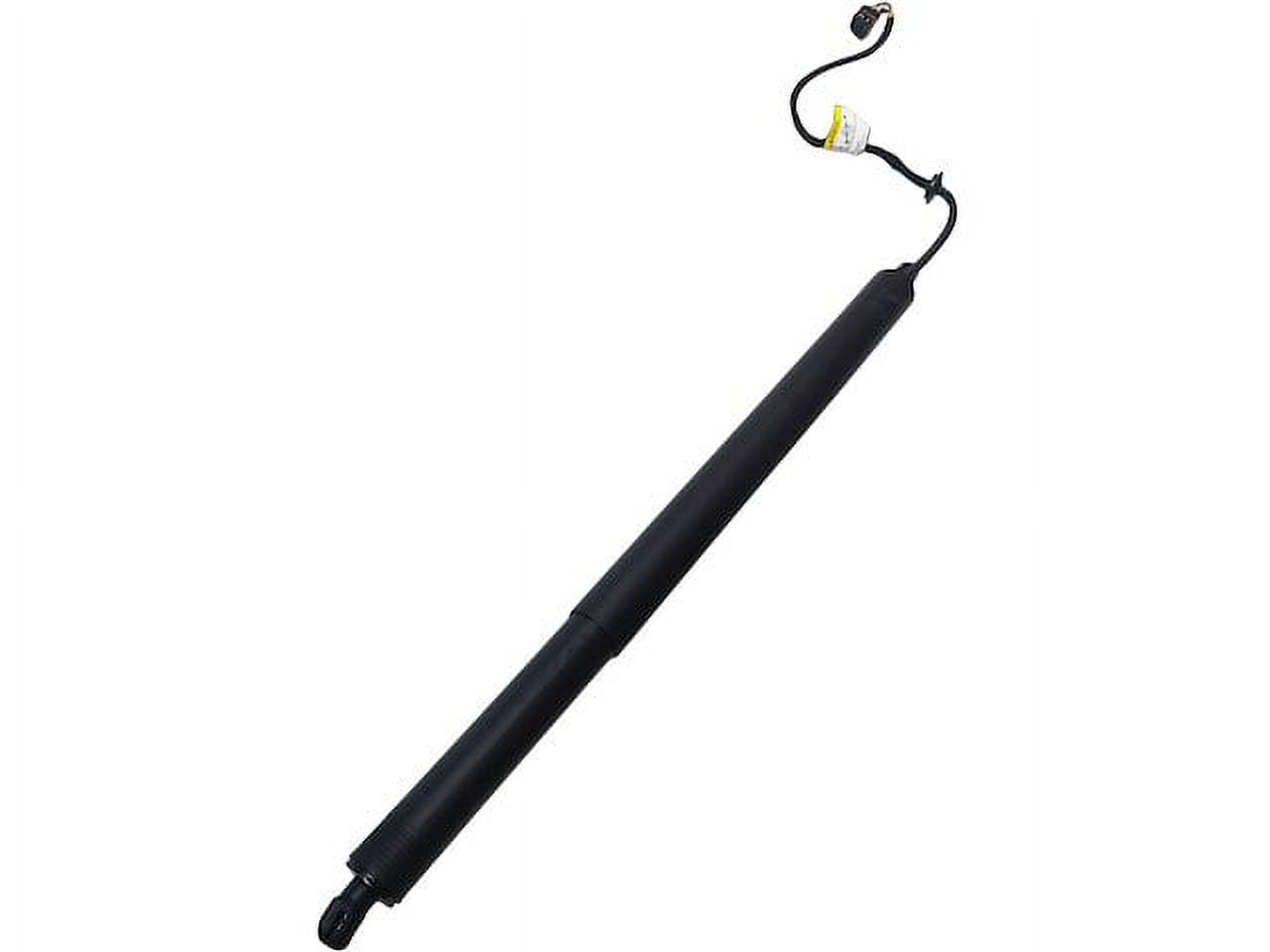 Right Liftgate Lift Support - Compatible with 2016 - 2020 Hyundai ...