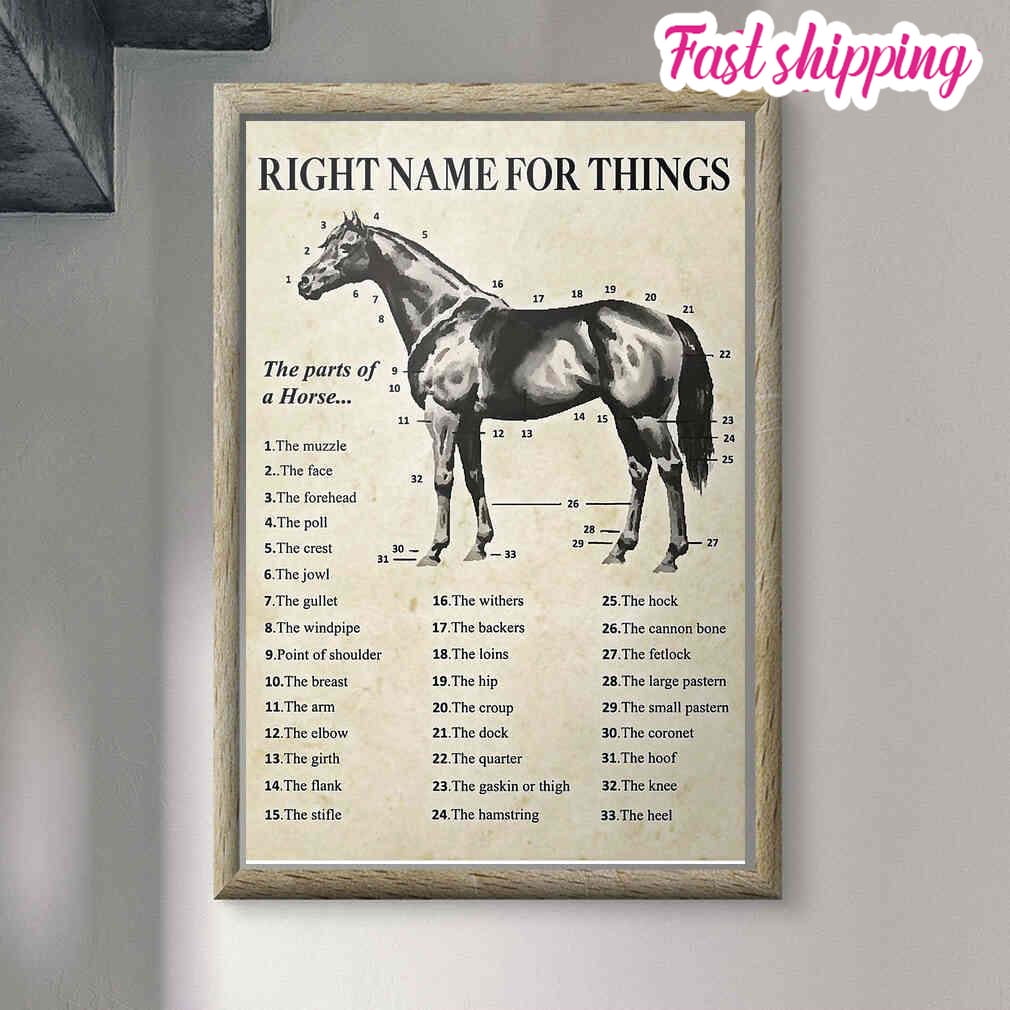Right Name For Things Horse Poster Prints Poster Wall Art Vertical 24 x ...