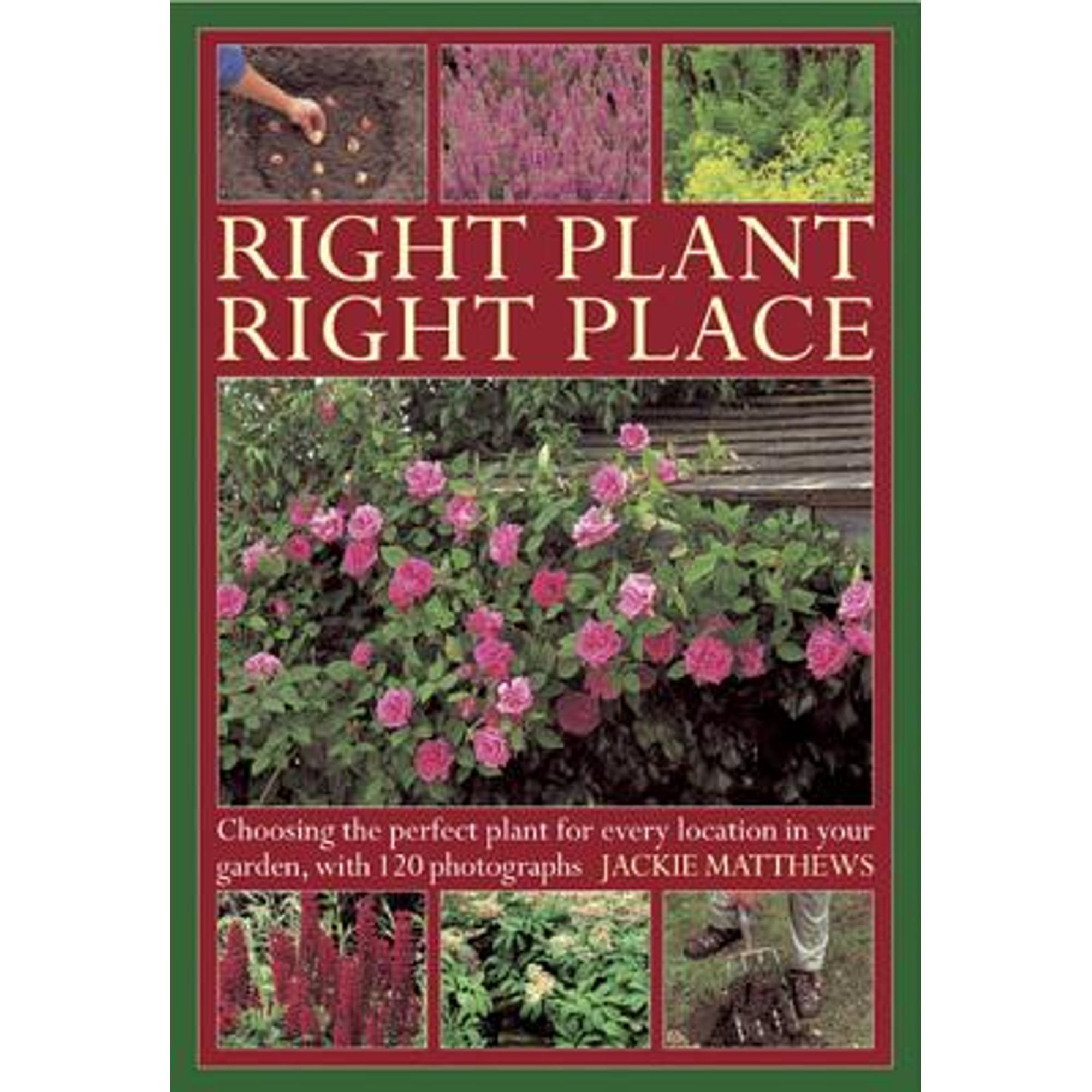 Pre-Owned Right Plant Right Place: Choosing the Perfect Plant for Every ...