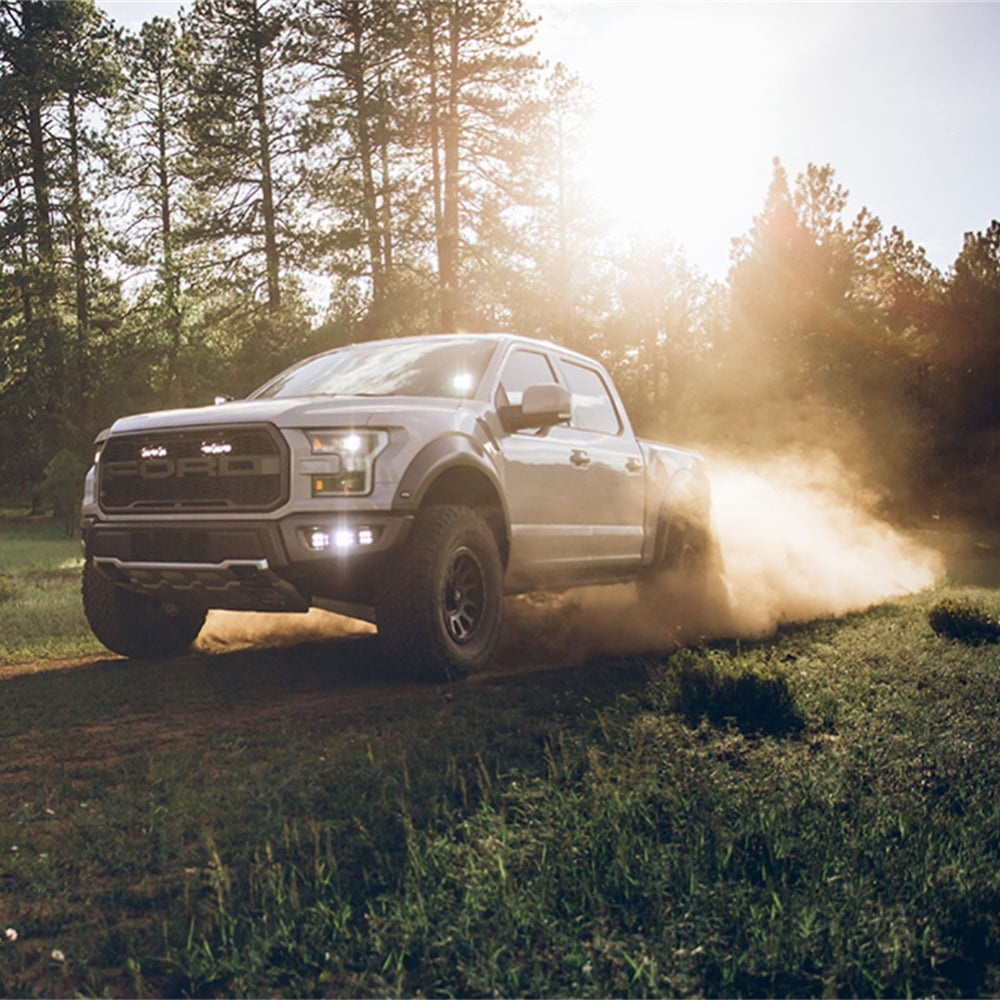 Rigid Industries 41610 D-Series LED Fog Light Kit Fits 17-18 F-150 Fits ...