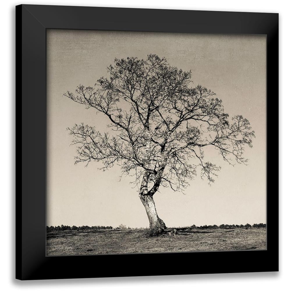 Rigsby, Jennifer 20x20 Black Modern Framed Museum Art Print Titled ...