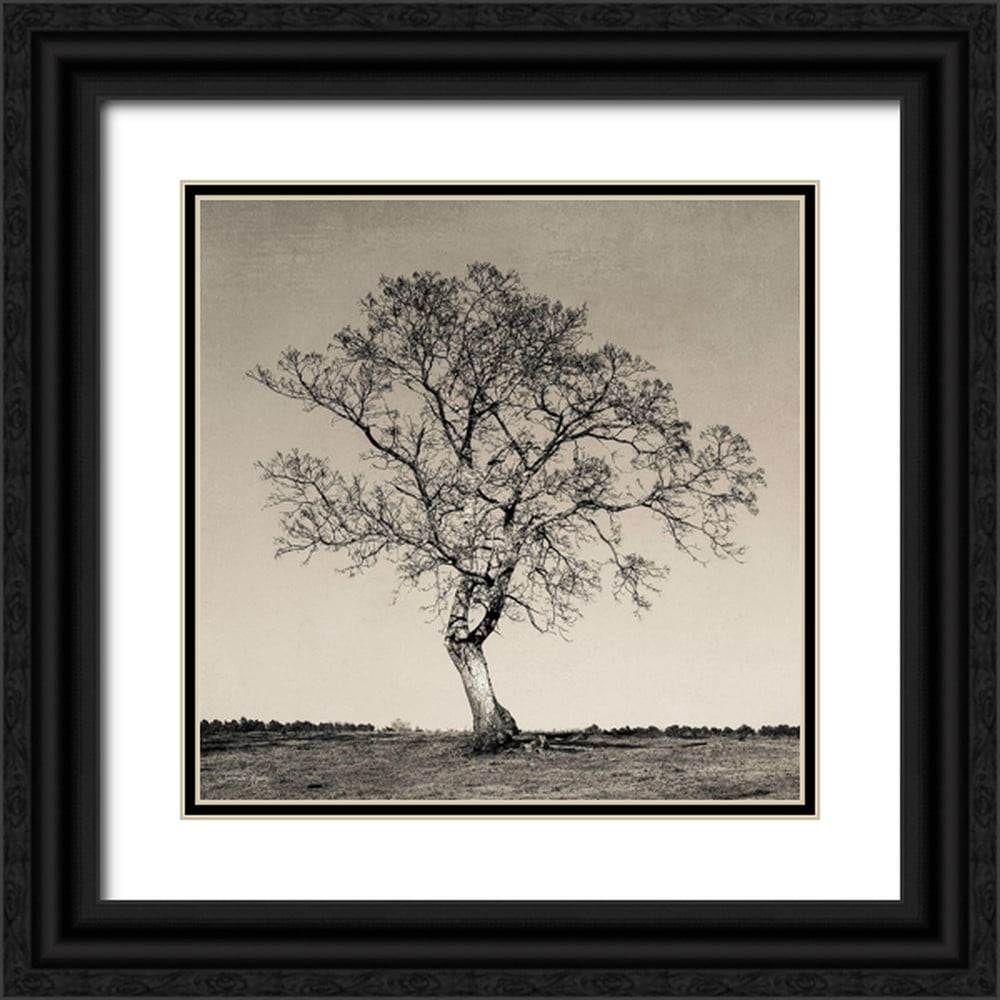 Rigsby, Jennifer 26x26 Black Ornate Wood Framed with Double Matting ...