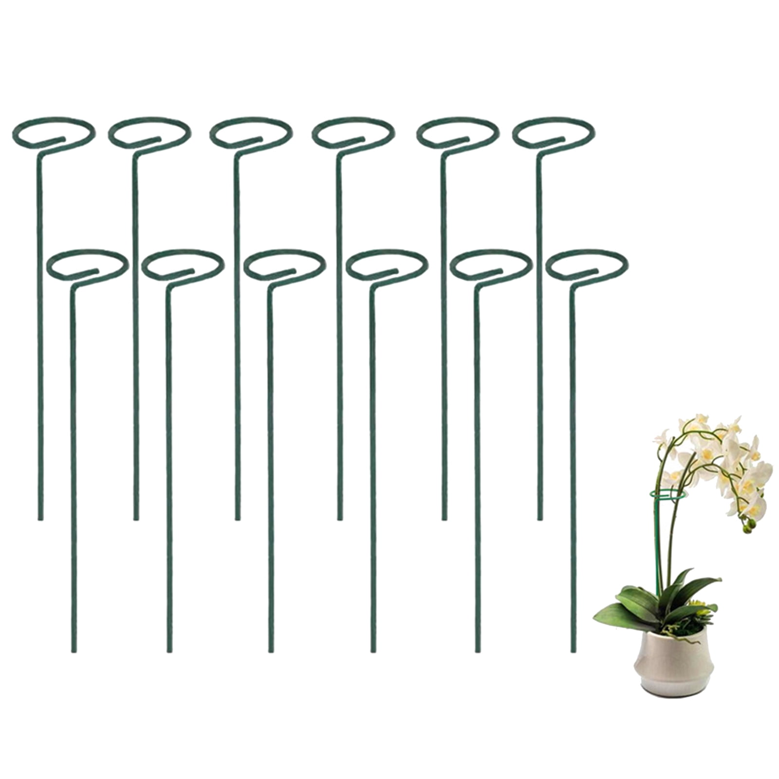 Riguas 12Pcs Plant Support Stakes Rustproof Corrosion Resistant Easy ...