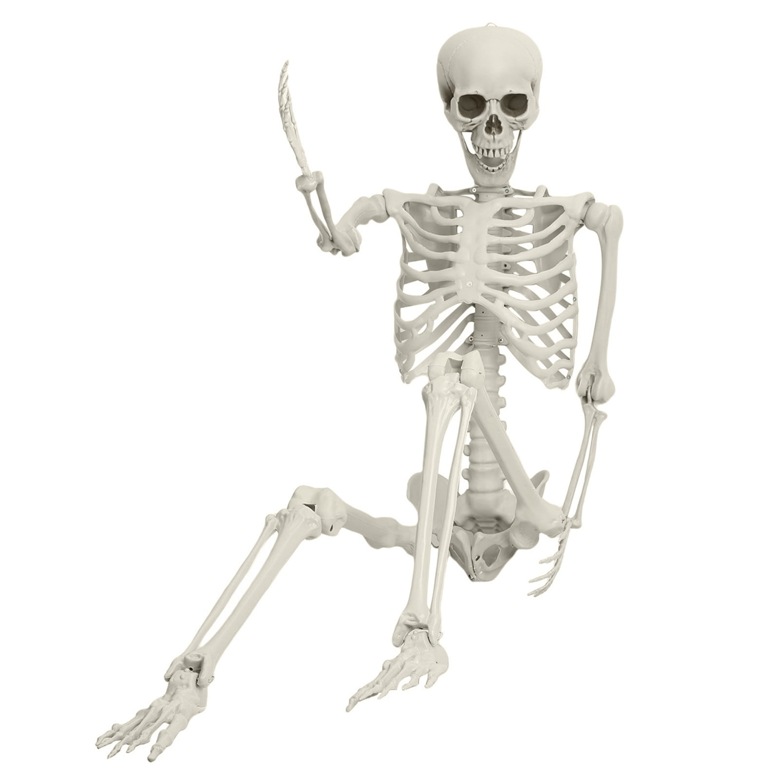 Riguas 5.4FT Poseable Skeleton Prop Life Size Plastic Halloween Human ...