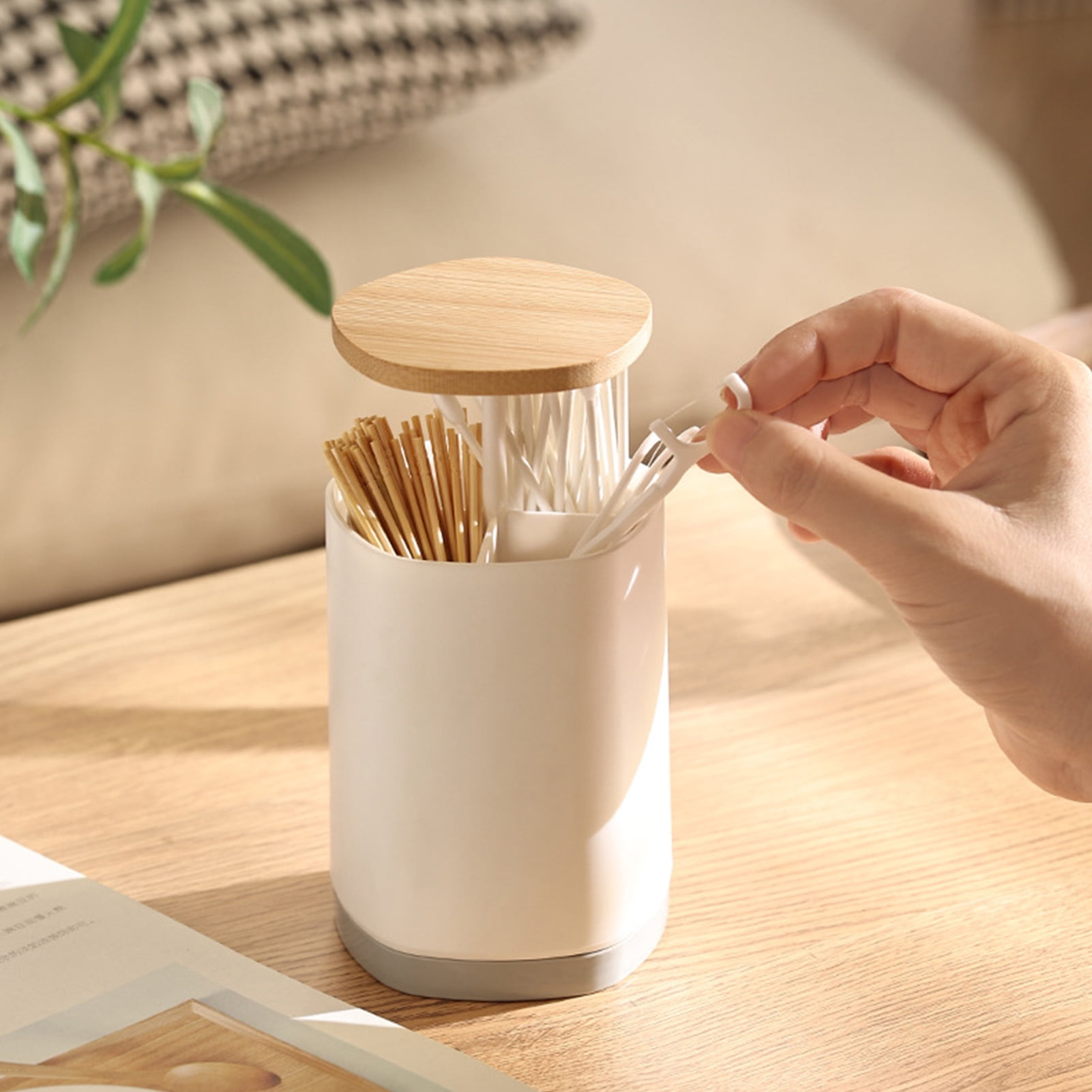 Riguas Toothpick Holder Modern Press-to-open Design Simple Operation ...