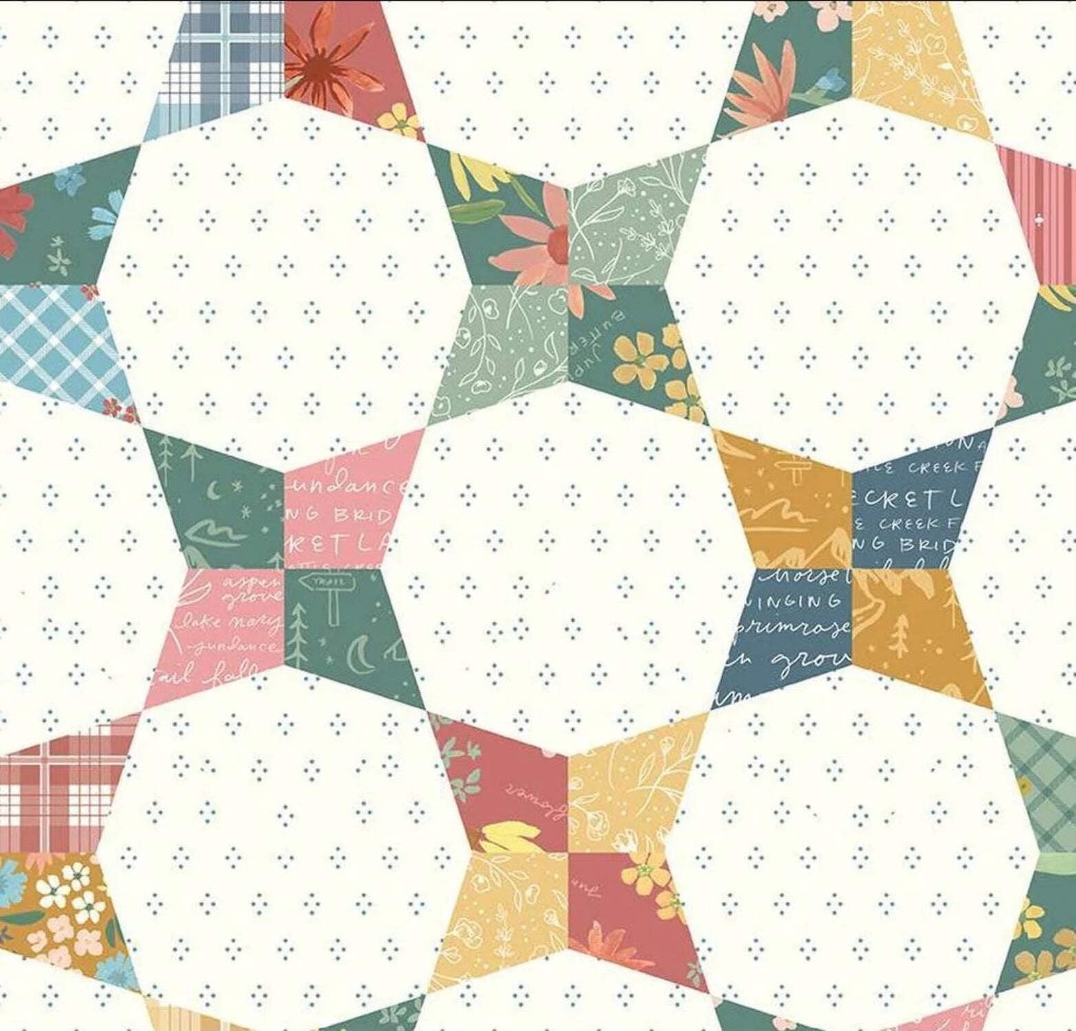 Riley Blake 108 Inch Wide Albion 100% Cotton Fabric Sold by the Yard ...