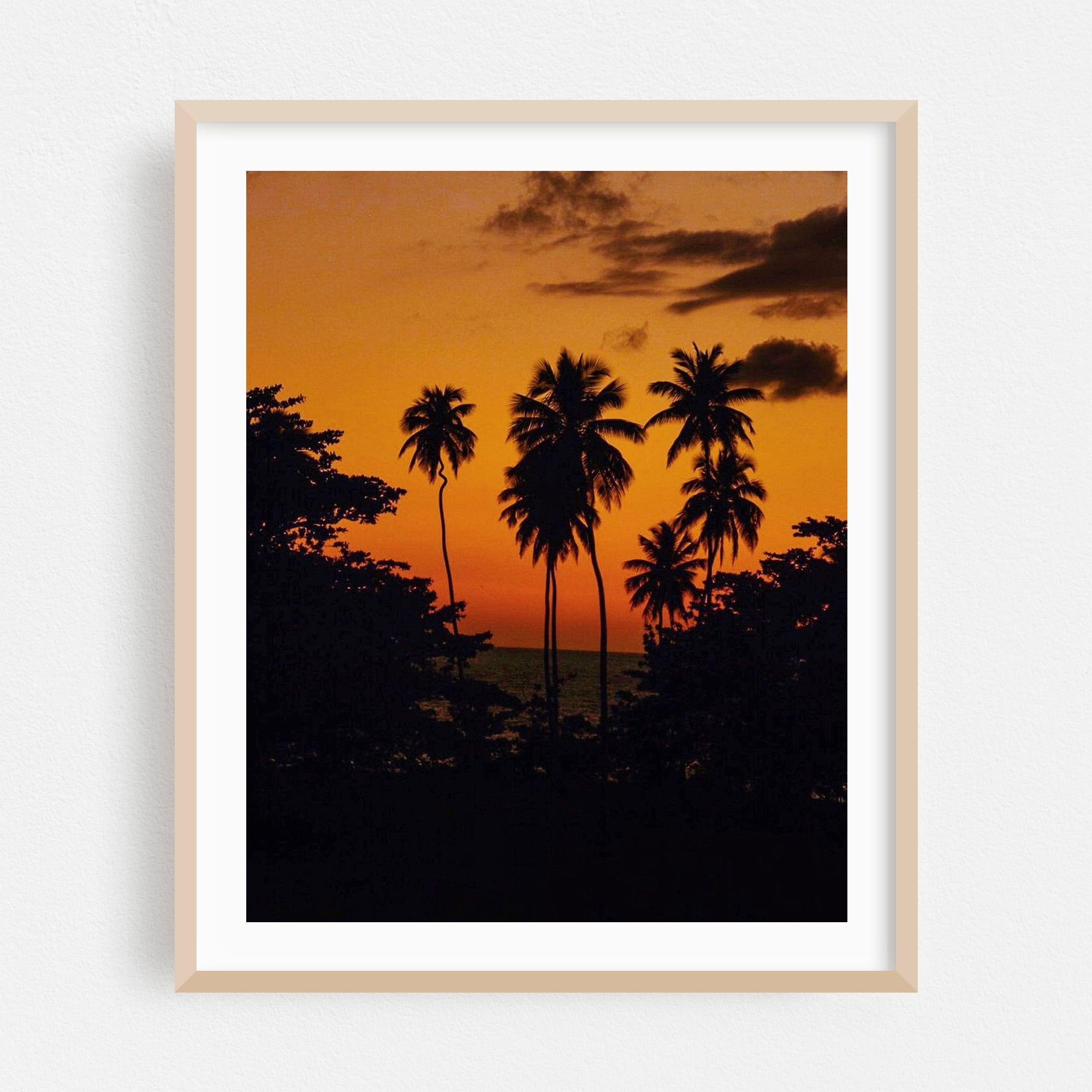 Rincon Sunset - Rincón Puerto Rico Photography Sunset Palm Tree ...
