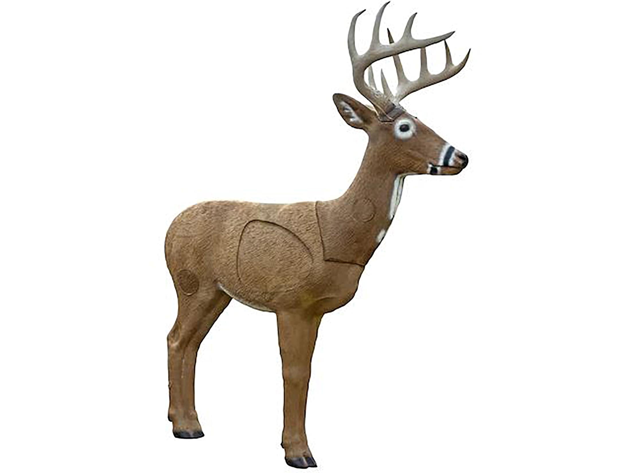 Rinehart Jimmy Big Tine Deer 3D Archery Target - Walmart.com