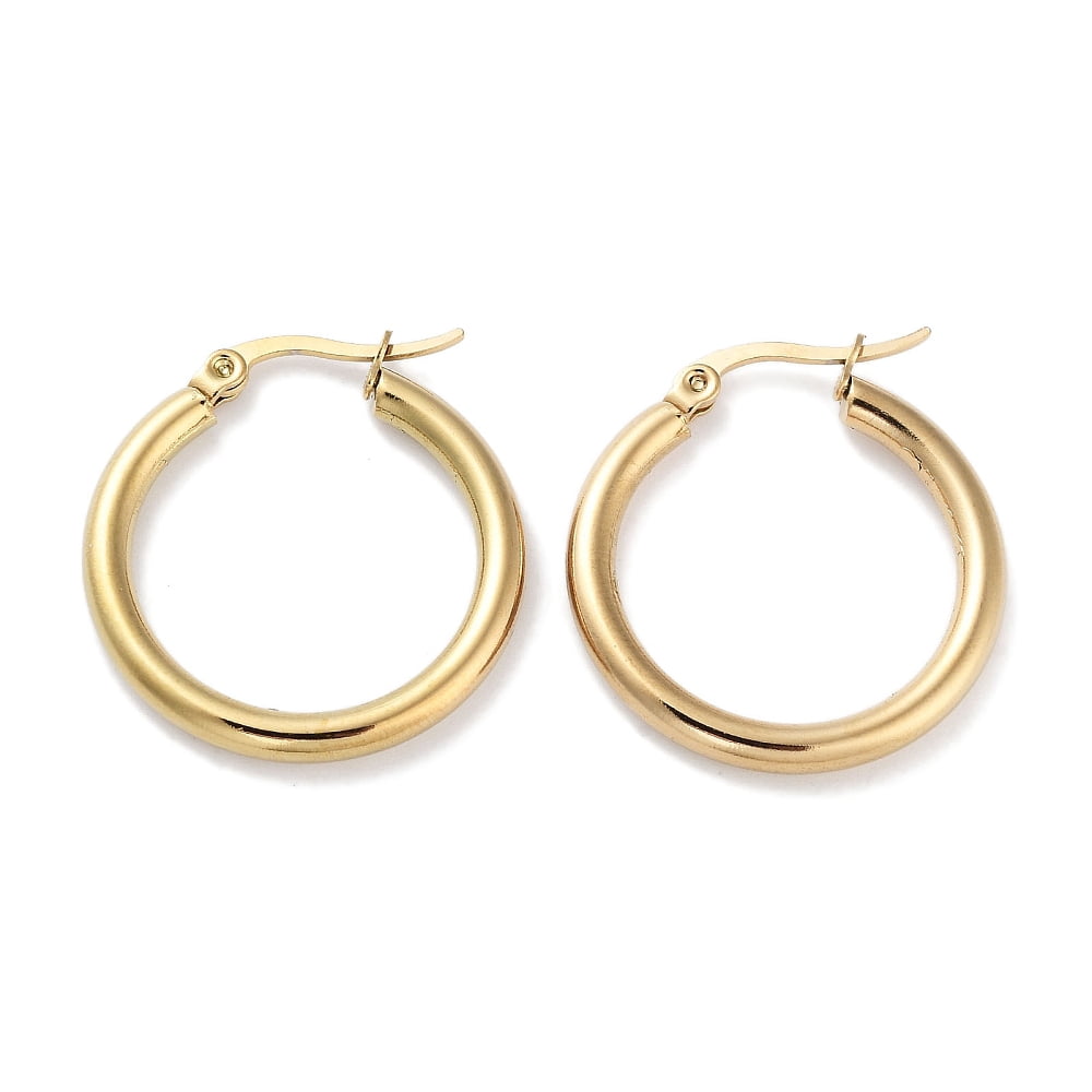 Ring 304 Stainless Steel Hoop Earrings for Women Men Ion Plating(IP ...