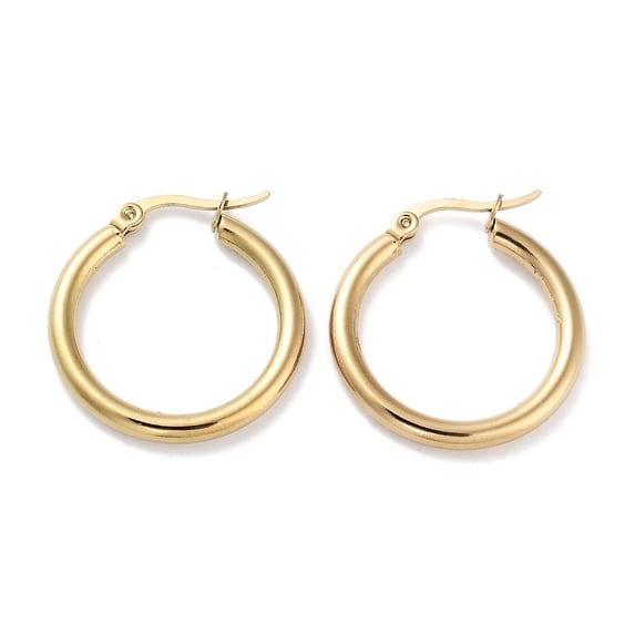 Ring 304 Stainless Steel Hoop Earrings for Women Men Ion Plating(IP ...