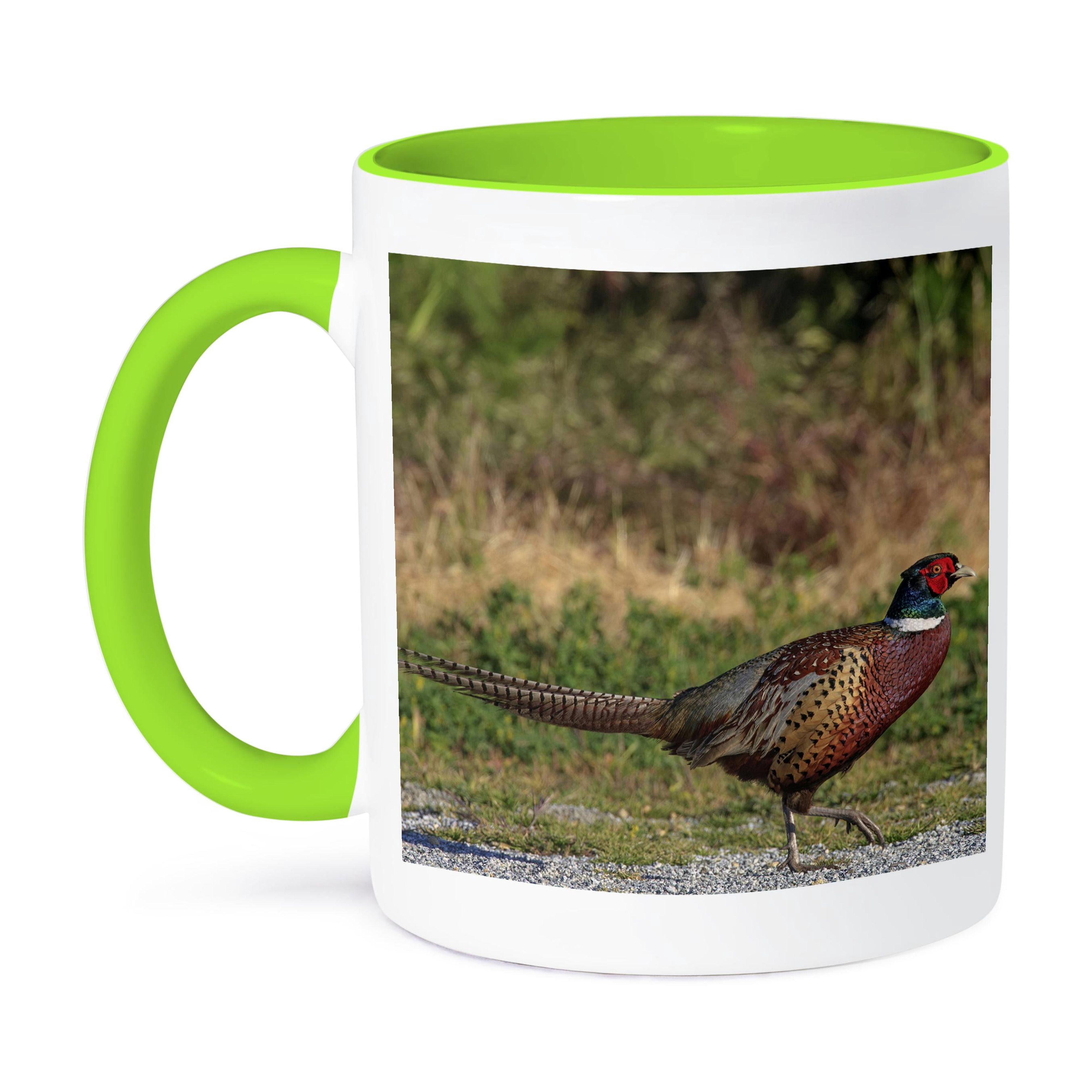 3dRose, Ring-necked Pheasant bird, California, USA - US05 TNO0061 - Tom ...