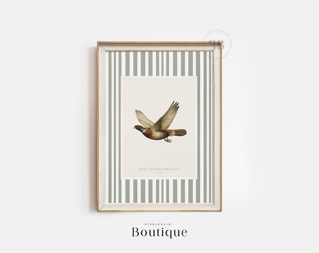 Ring-Necked Pheasant Vintage Style Illustration, Antique Bird Print ...
