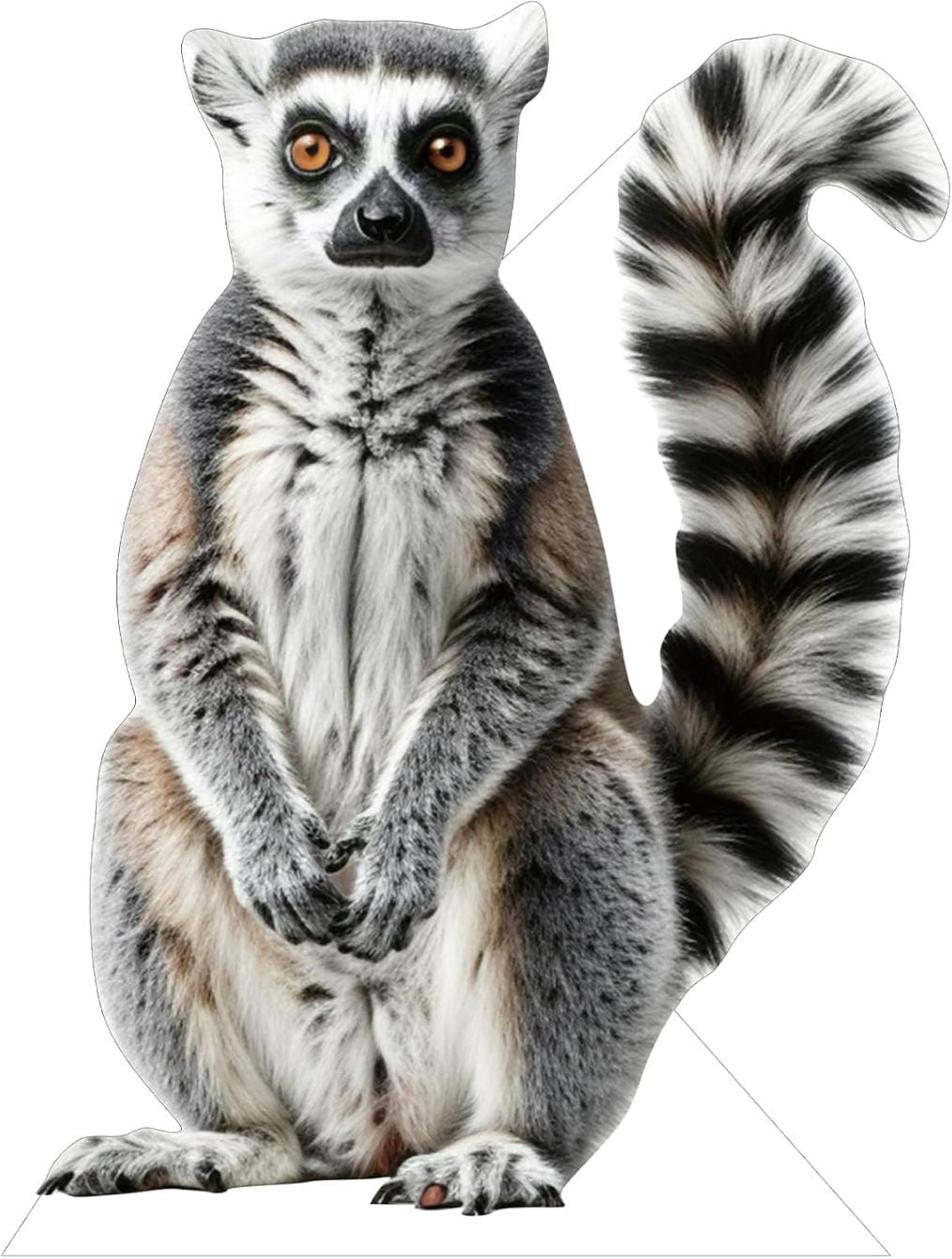 Ring-Tailed 5FT Life Size Cardboard Cutout, Fun Animal Standup, Perfect ...
