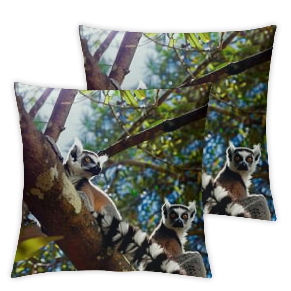 Ring Tailed Lemur Primate-Berenty Park-Madagascar-Keren Su Design ...