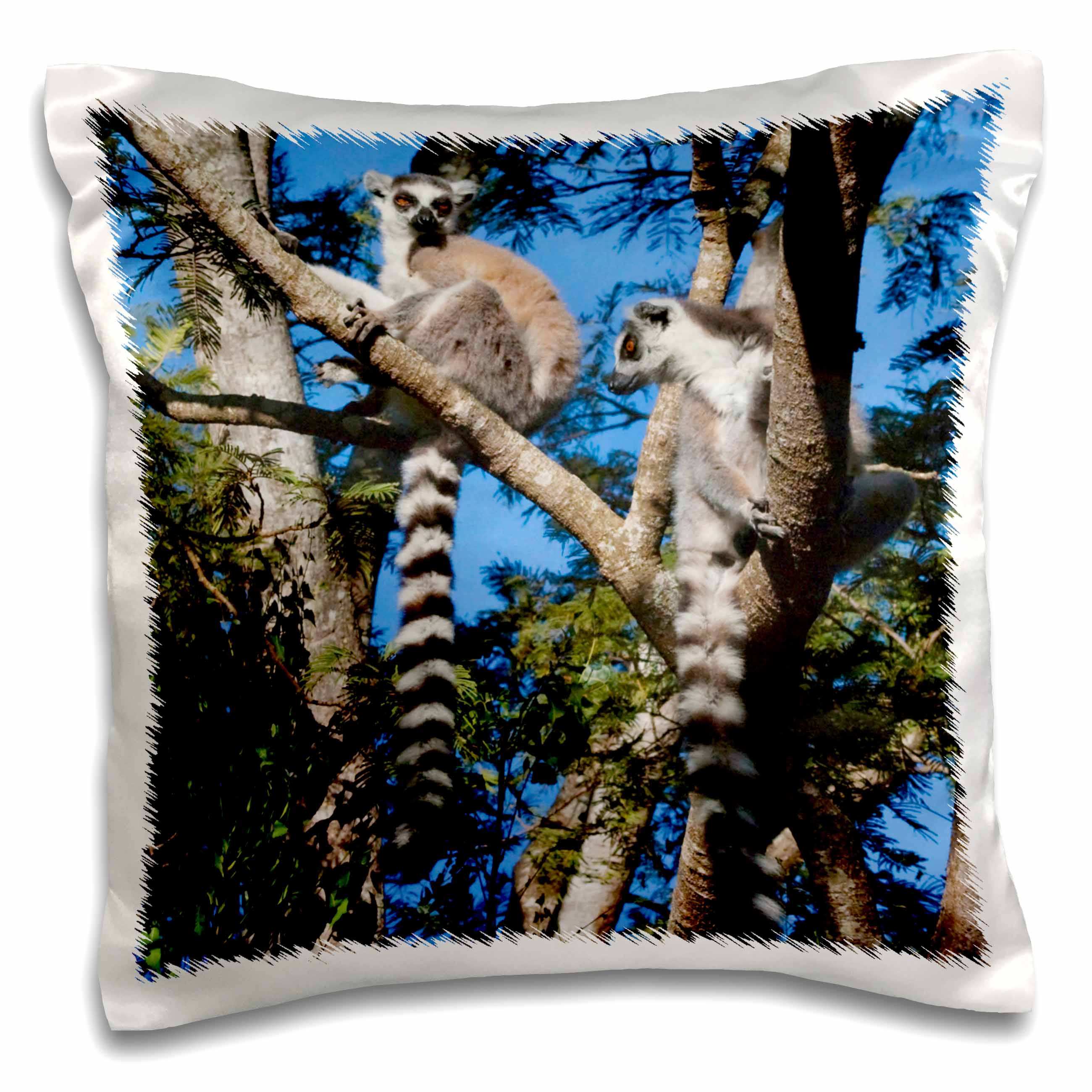 3drose, Ring Tailed Lemur Primate, Berenty Park ,madagascar - Af24 ...