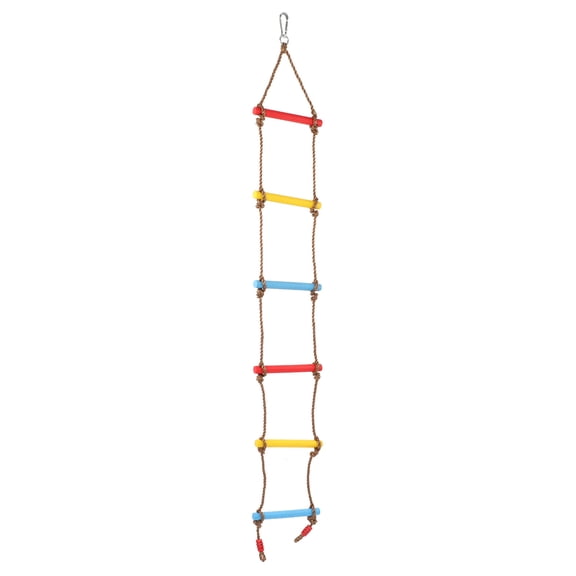 Climbing Ladder Kids