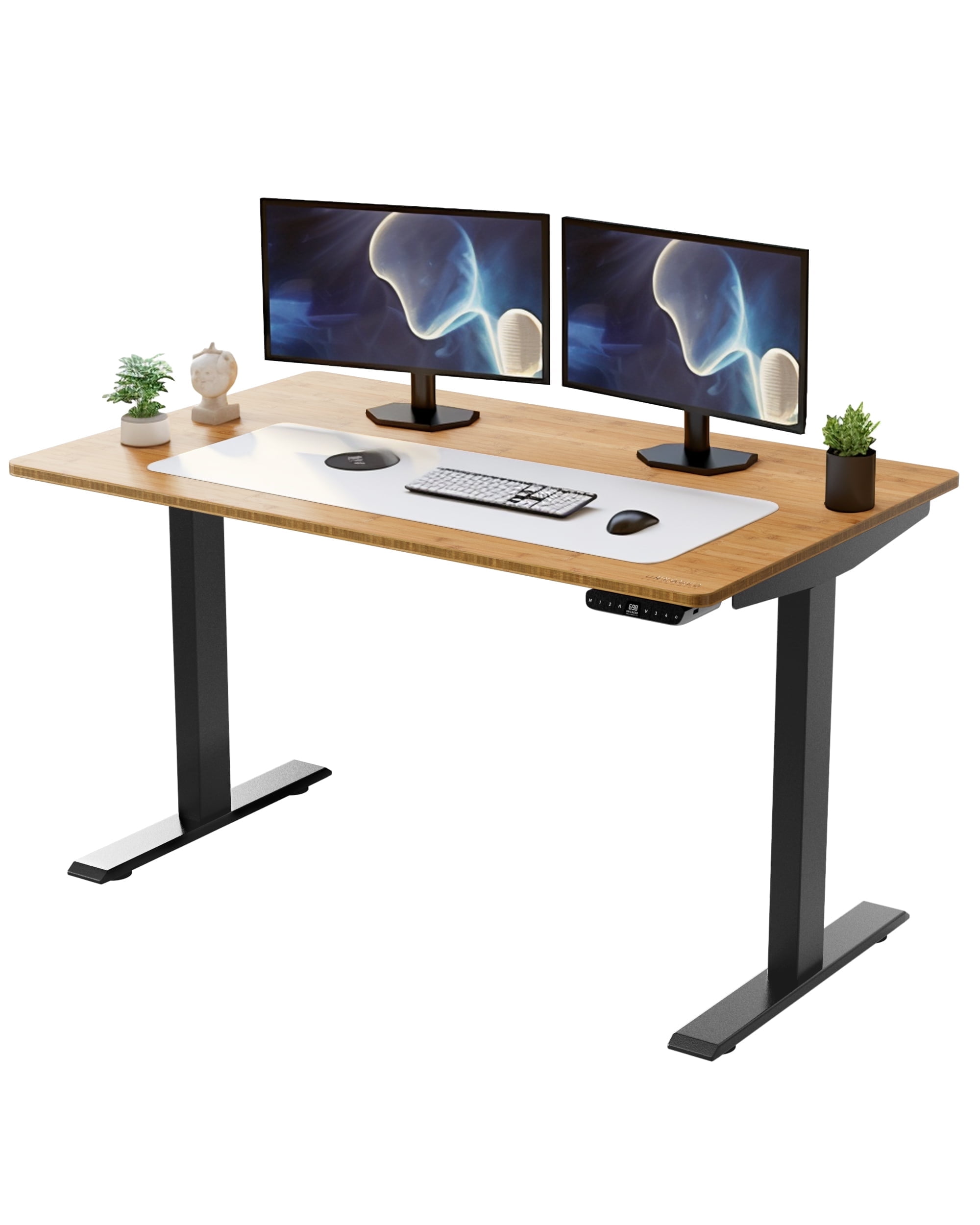 Rise Up 60x30” Bamboo Solid Top Electric Standing Desk | One-Piece ...