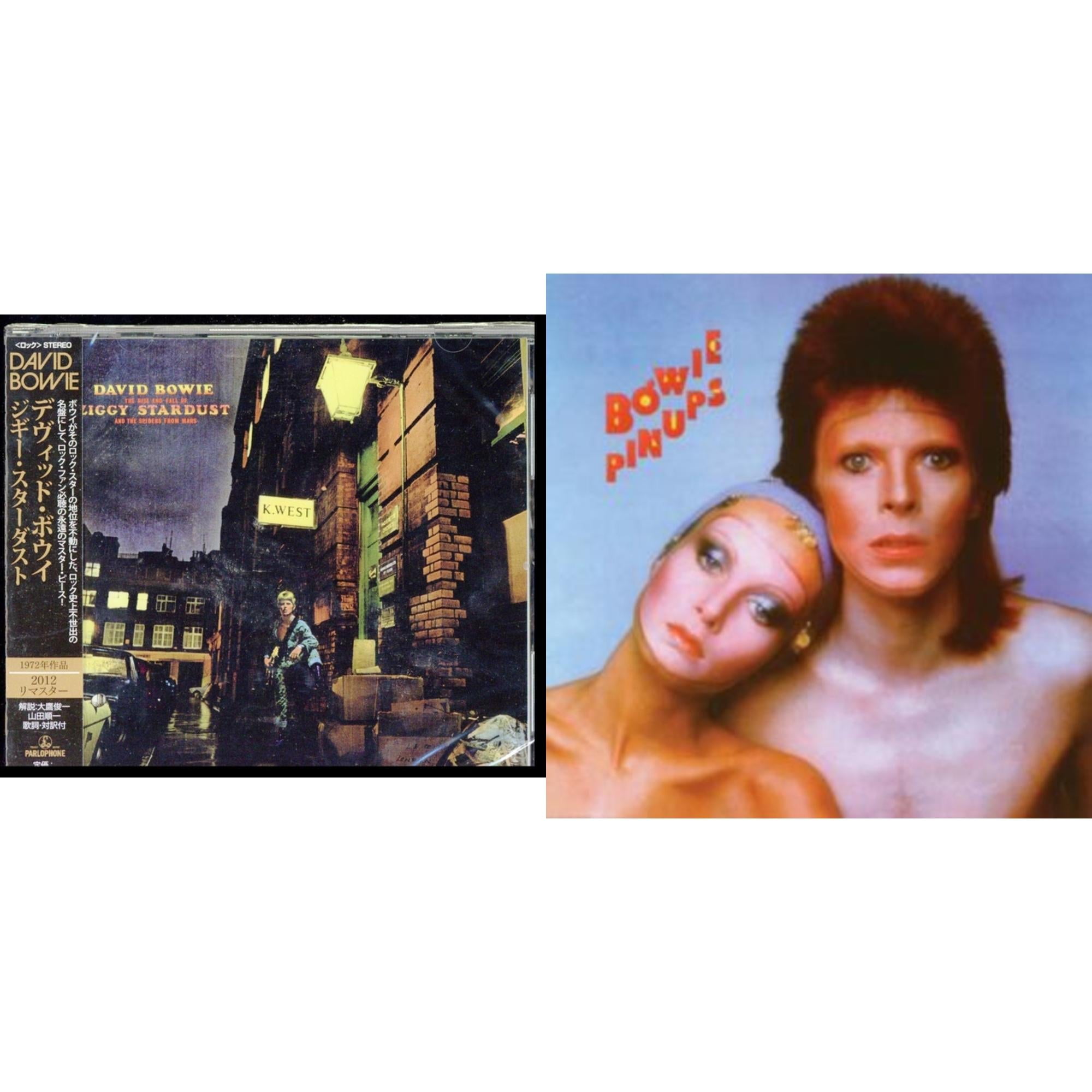Rise And Fall Of Ziggy Stardust And Spiders From Mars And Pinups 2015