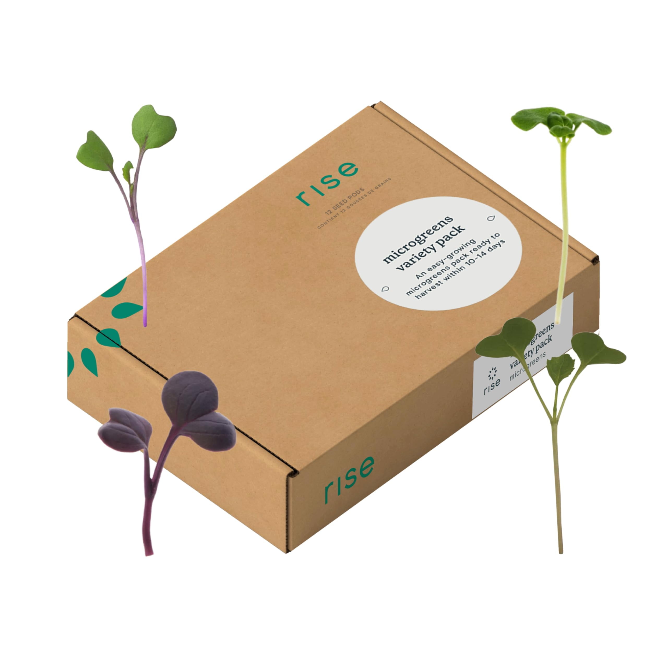 Rise Gardens Microgreens Variety Pack Pod Kit, Microgreen for Planting ...