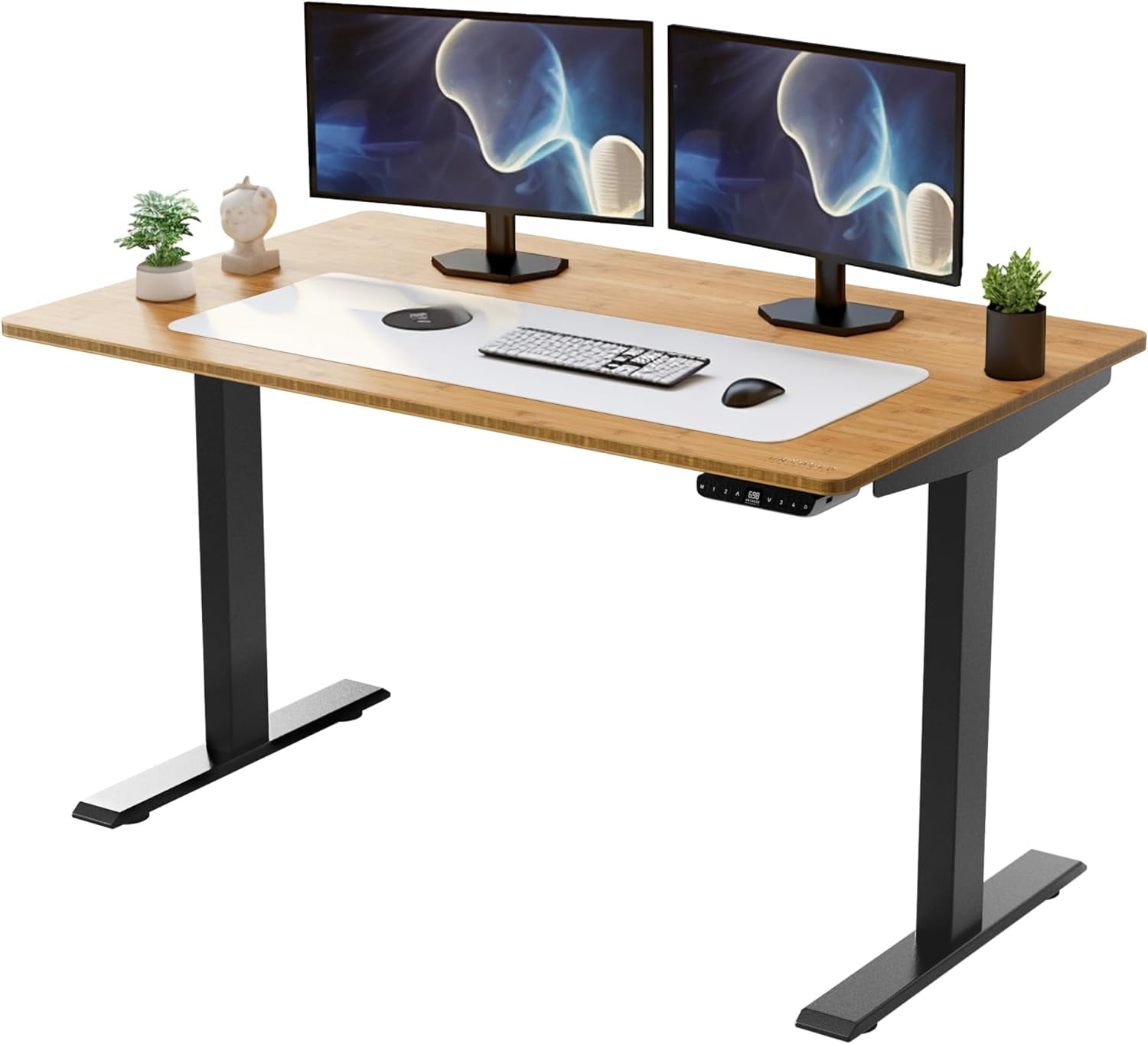 Rise UP Electric Standing Desk Adjustable Height Desk 24-49" Dual Motor ...