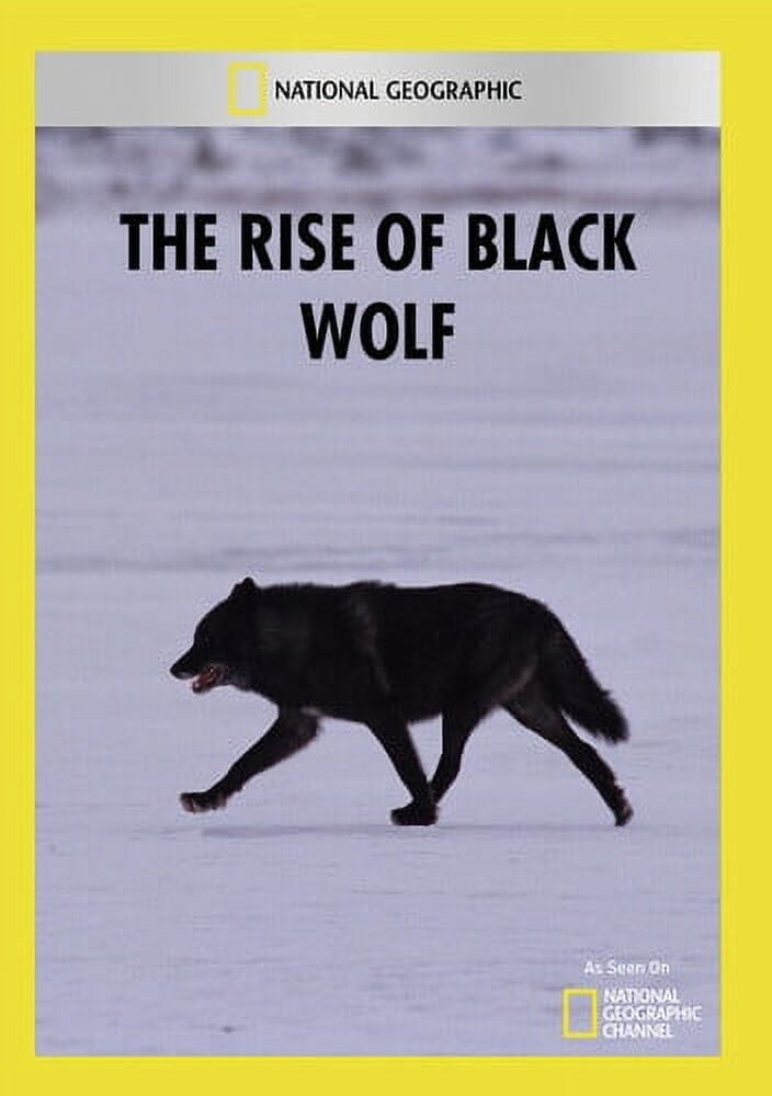 Rise of Black Wolf (DVD), National Geographic, Documentary - Walmart.com