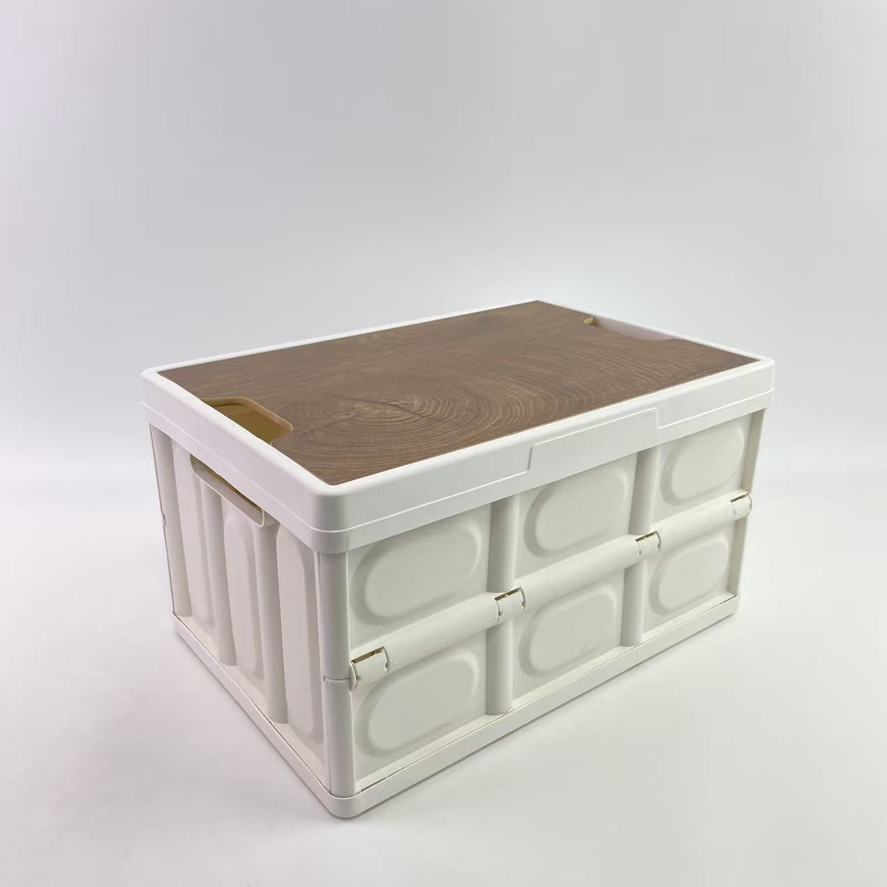 RiseLite Camping furniture,56 Quart Plastic Storage tote Boxes ...