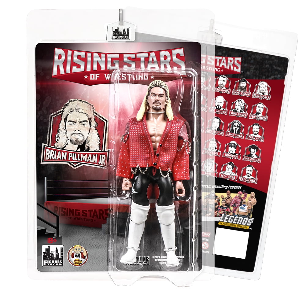 WWE Exclusive NXT Ultimate Edition: Rising Stars of Wrestling Action ...
