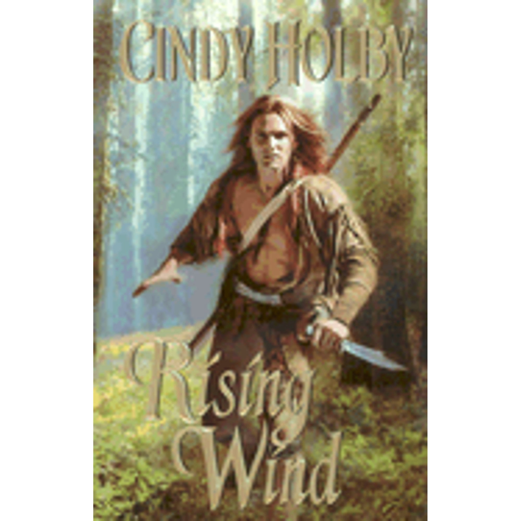 Rising Wind (Paperback) by Cindy Holby - Walmart.com