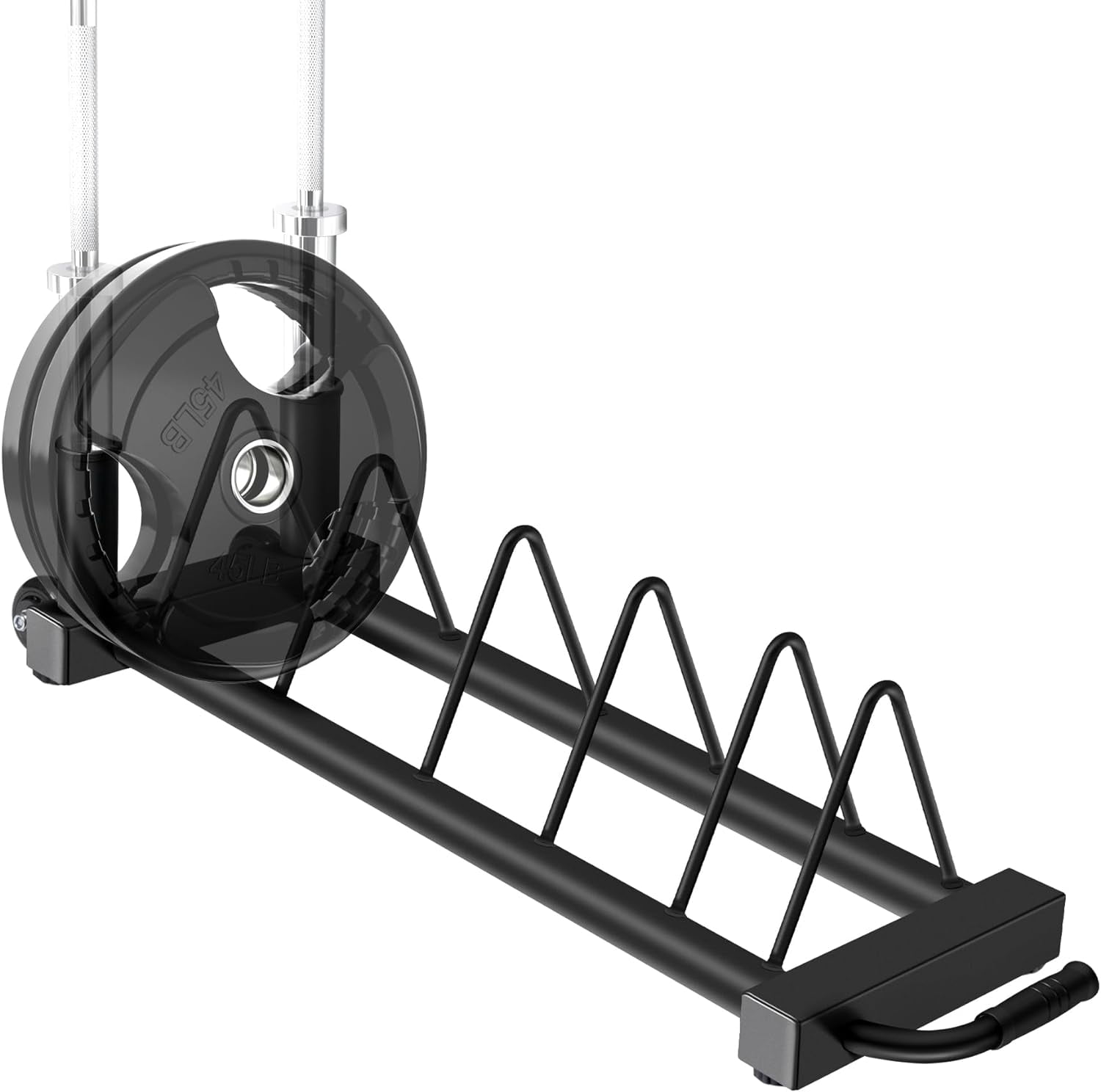 RitFit Horizontal Weight Plates Rack, Barbell Bumper Weight Plates ...