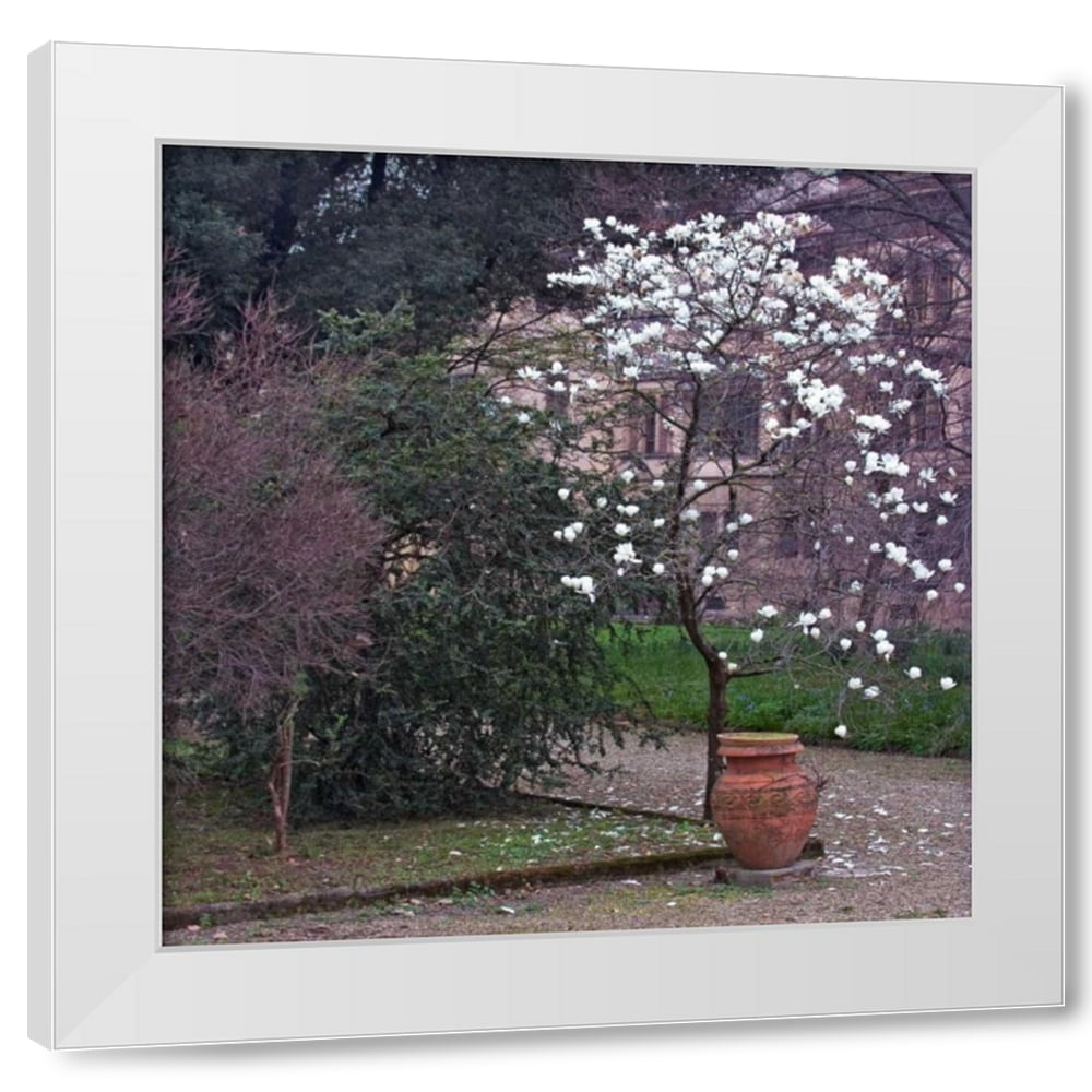 Rita Crane 12x12 White Modern Wood Framed Wall Art Titled - Garden ... Rita Crane 12x12 White Modern Wood Framed Wall Art Titled - Garden ...