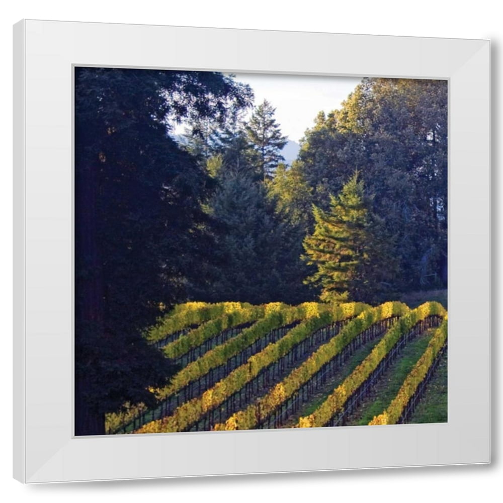 Rita Crane 12x12 White Modern Wood Framed Wall Art Titled - Golden Rows ... Rita Crane 12x12 White Modern Wood Framed Wall Art Titled - Golden Rows ...