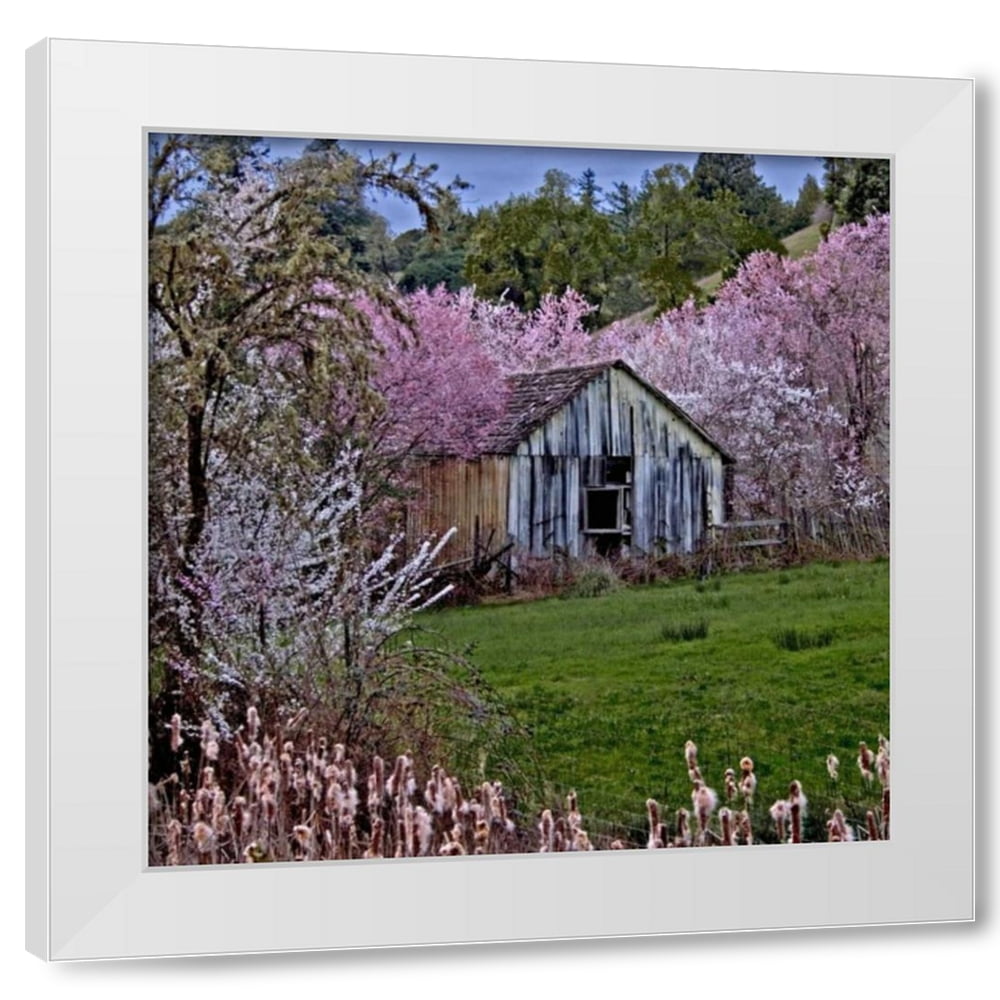 Rita Crane 12x12 White Modern Wood Framed Wall Art Titled - Twilight ... Rita Crane 12x12 White Modern Wood Framed Wall Art Titled - Twilight ...