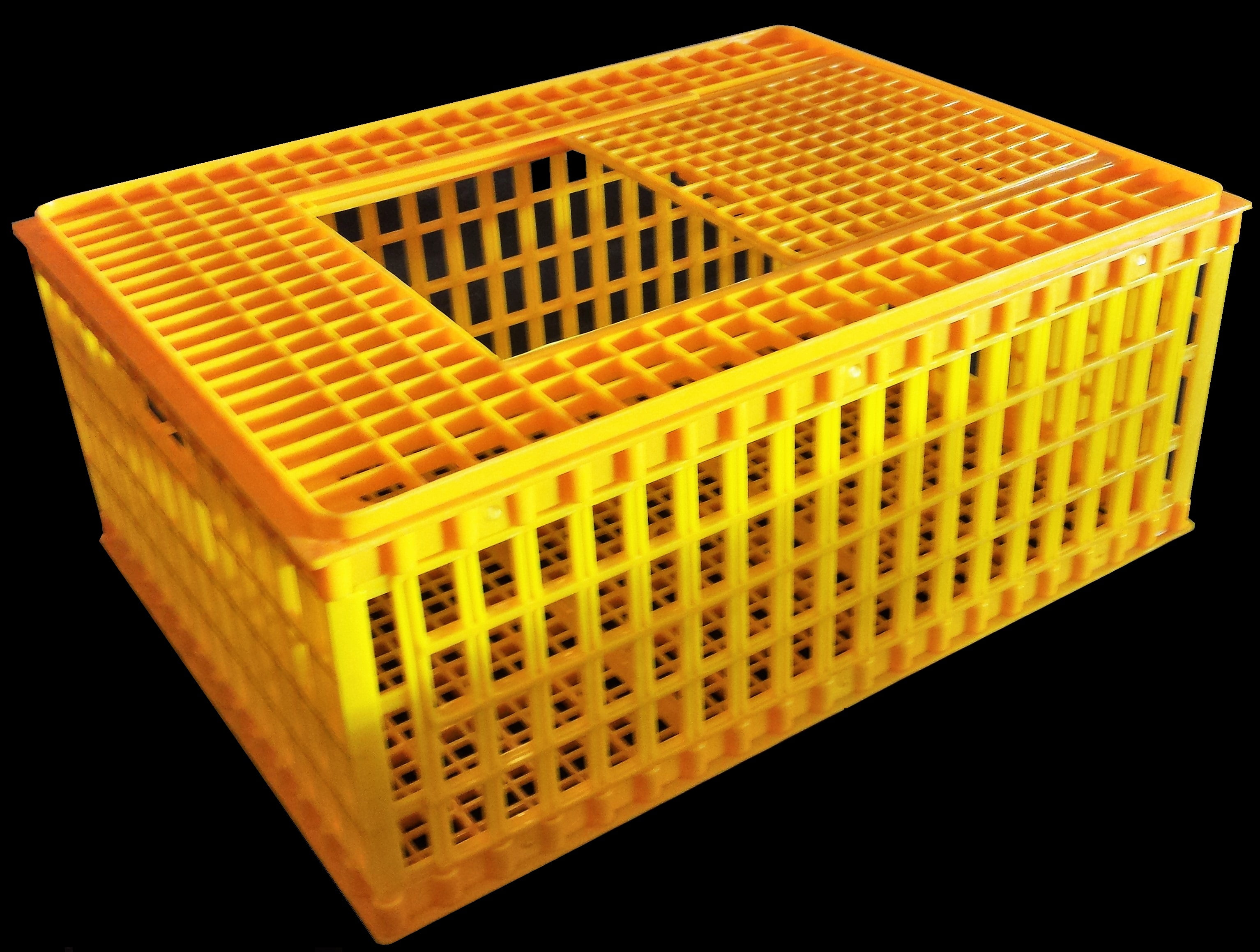 Rite Farm Products Large Poultry/Gamebird Transport Cage/Coop, Heavy ...