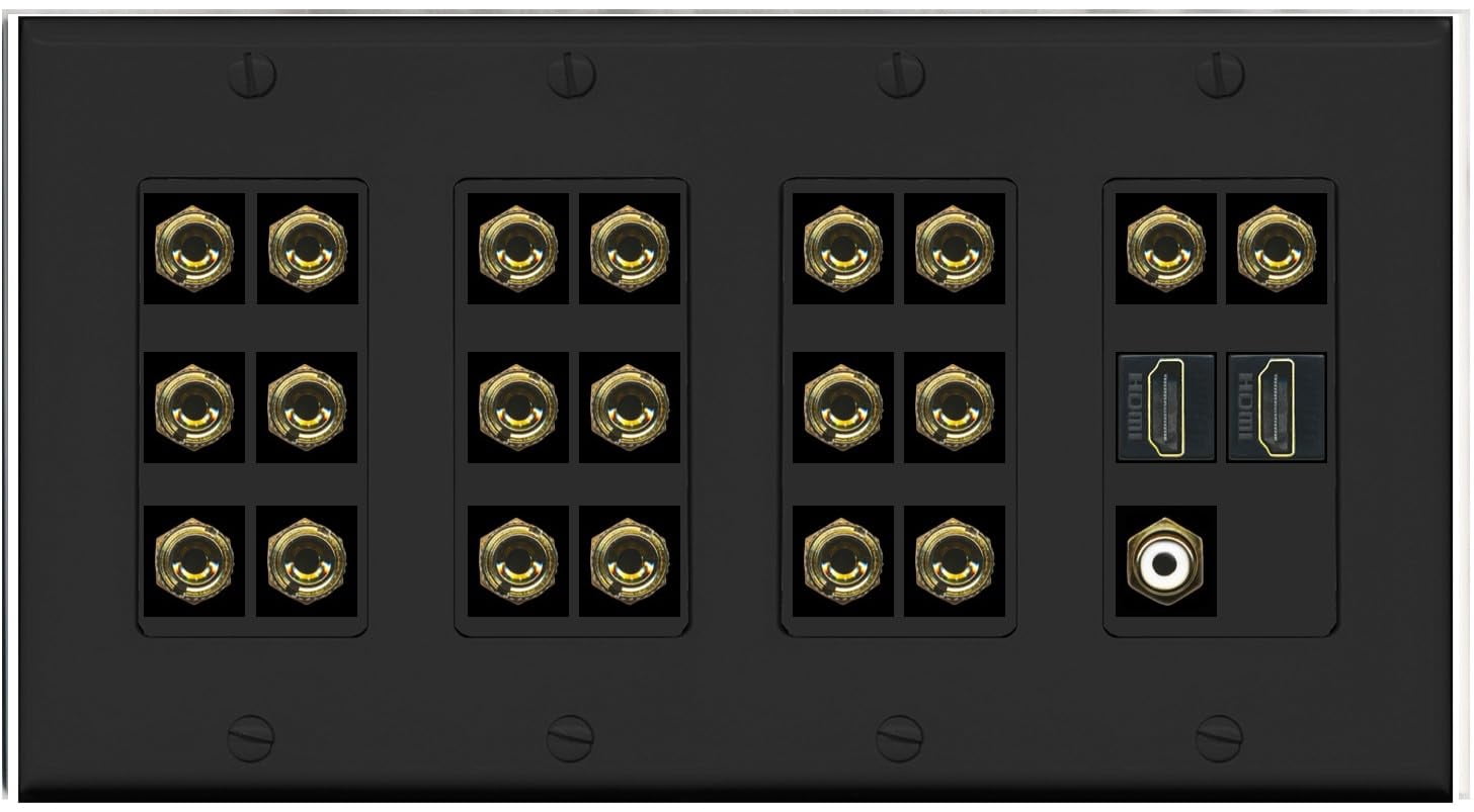 RiteAV 10.1 Surround Sound 10 Speaker 20 Banana Plug Jack Wall Plate w ...