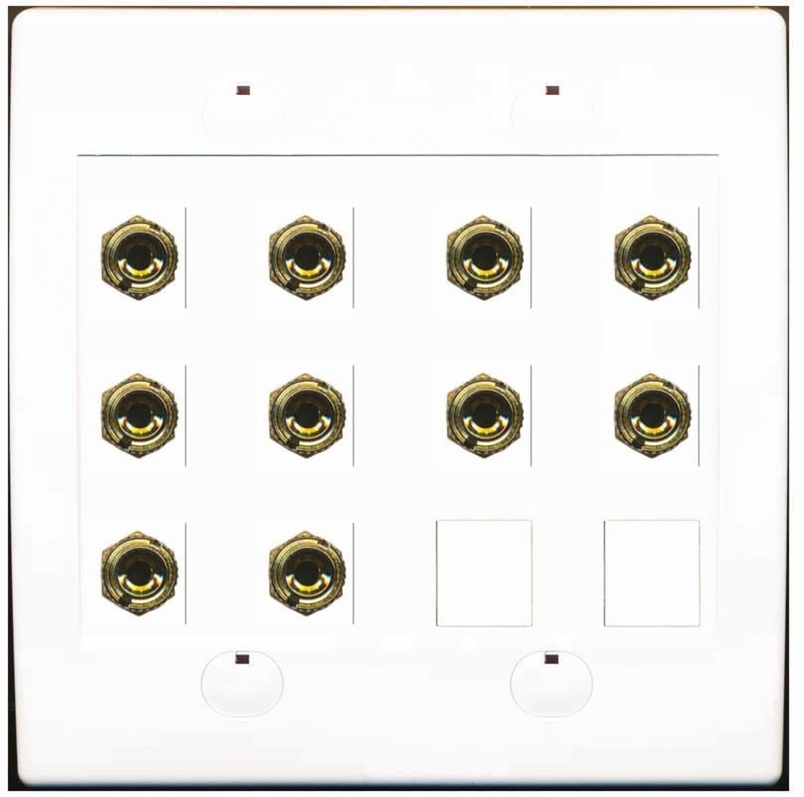 RiteAV 10 Banana 5 Speaker Surround 2 Gang Coupler Binding Post Wall ...