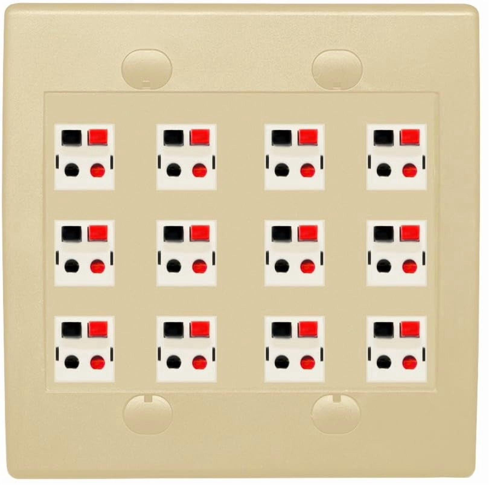 RiteAV 12 Port Speaker Jack Dual Gang Wall Plate for Home Theater ...