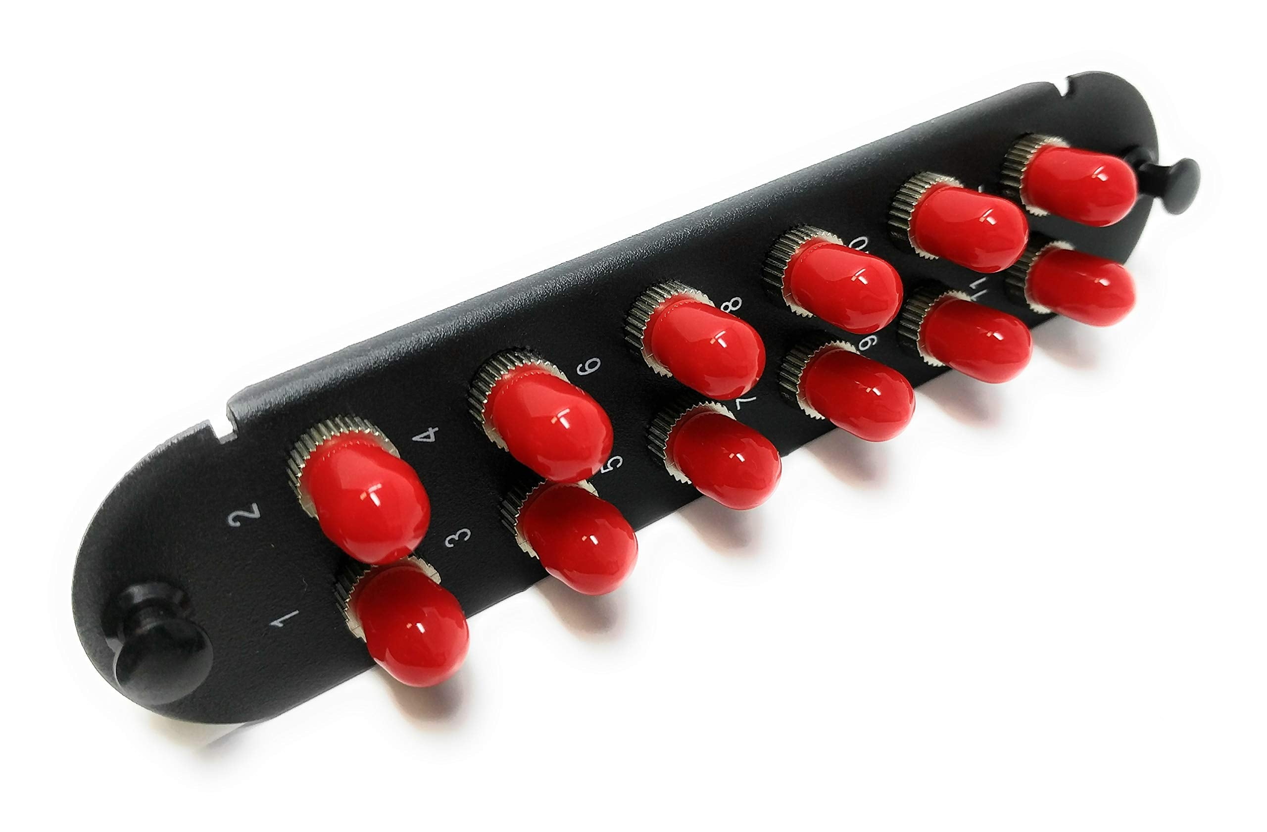 RiteAV - CCH ST/ST (12 Port Simplex w/12 Fiber Connectors) Adapter ...