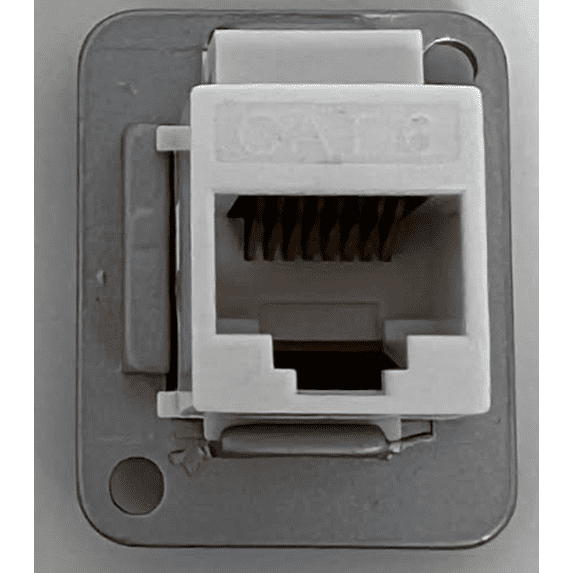 RiteAV Cat 6 D Series Chassis Panel Mount Connector Pass Through ...