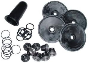 Rittenhouse Hypro D1064 Diaphragm Pump Repair Kit - Complete - Walmart.com