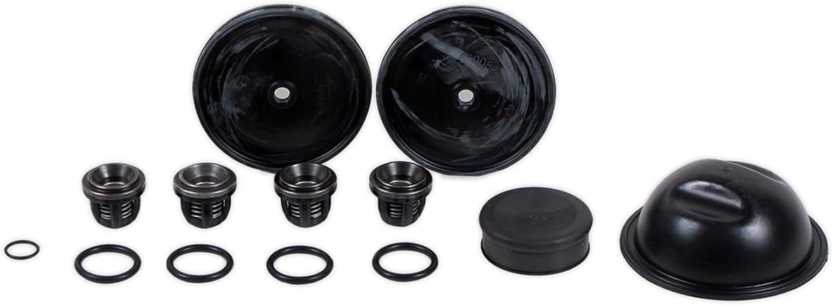 Rittenhouse Hypro D50 Diaphragm Pump Complete Repair Kit - D50REPAIRKIT ...