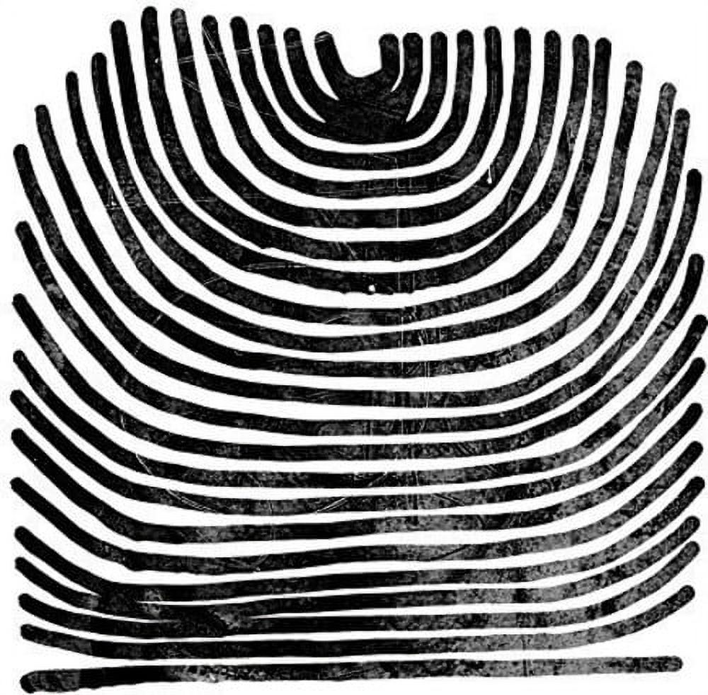 Rival Consoles - Howl - Electronica - Vinyl - Walmart.com