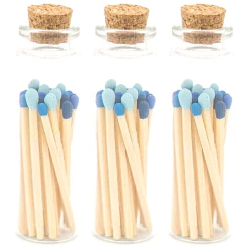 River Birch Decorative Matches in a Bottle with Striker - Cute ...
