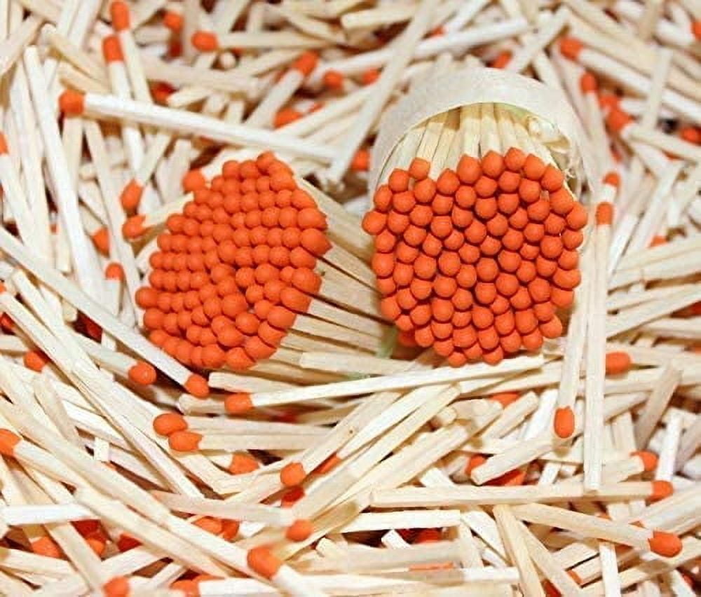 River Birch Pumpkin Orange Tip Decorative Matches | 400+ Small Premium ...