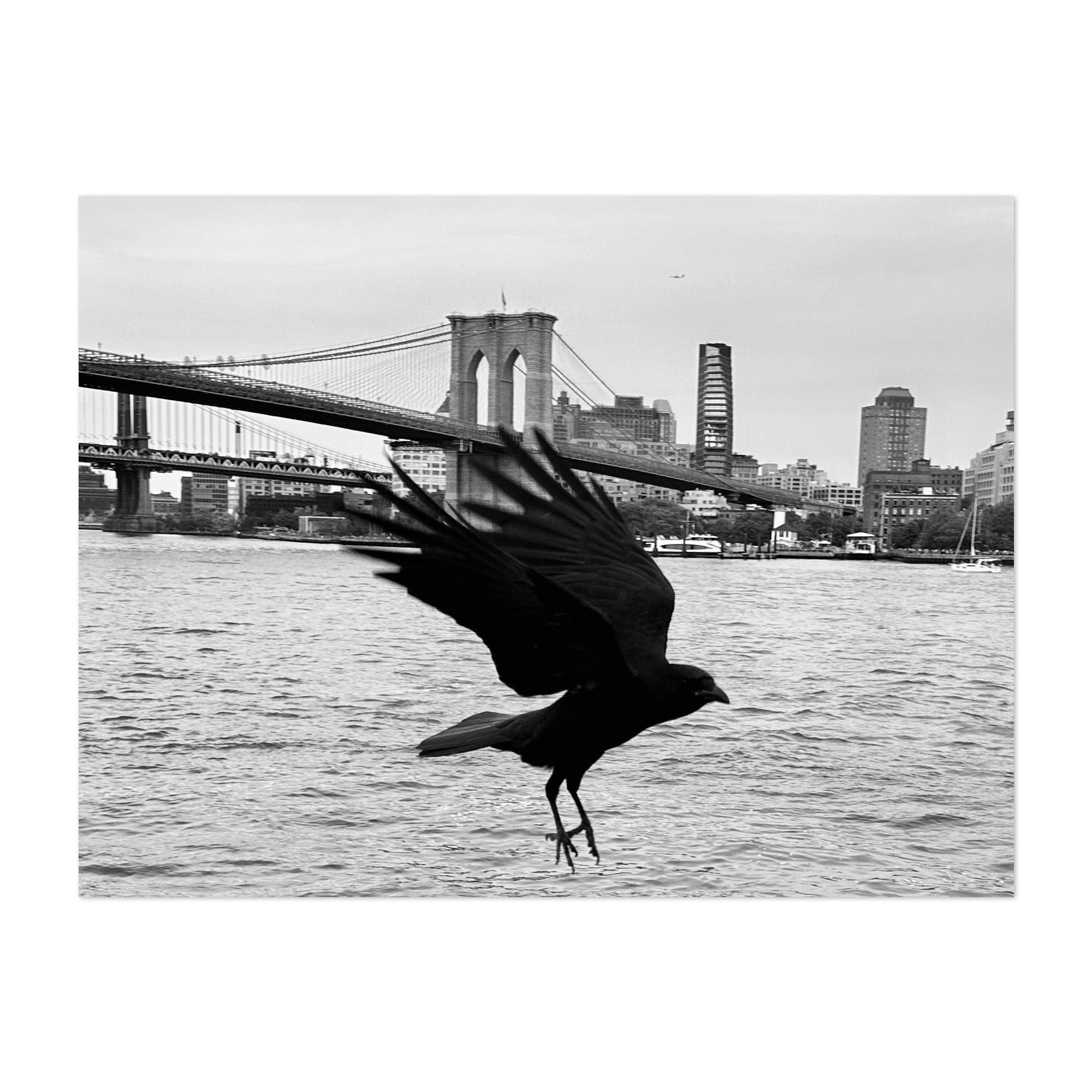River Raven - Manhattan New York Photography Unframed Wall Art Print 5 ...