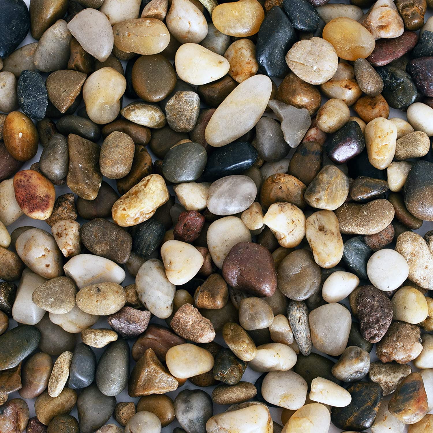 Polished River Rocks for Plants, Aquariums & Vases, 2lb Bag (1-2cm ...