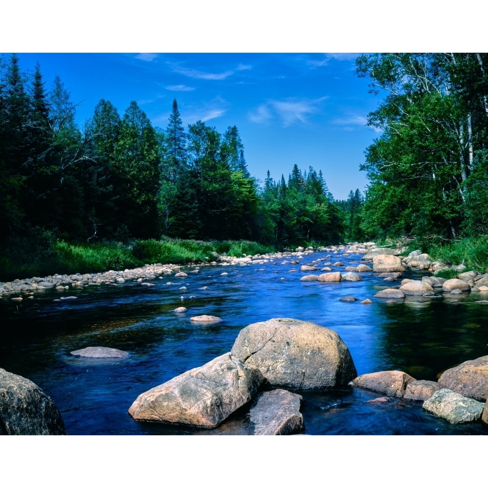 River flowing through a forest Ausable River Lake Placid Adirondack ...